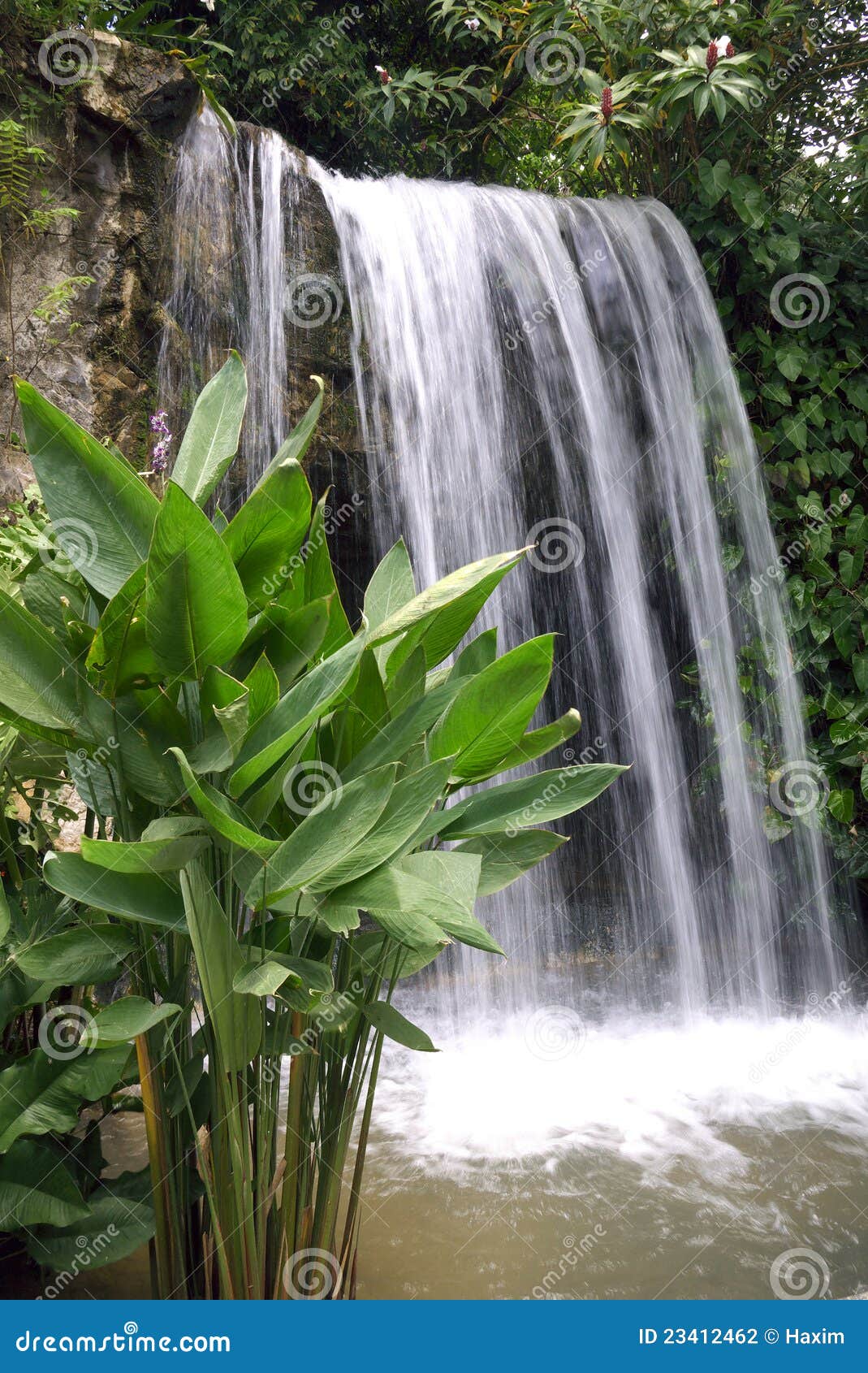 Botanical Gardens Waterfall Stock Photo - Image of beauty, outdoor ...
