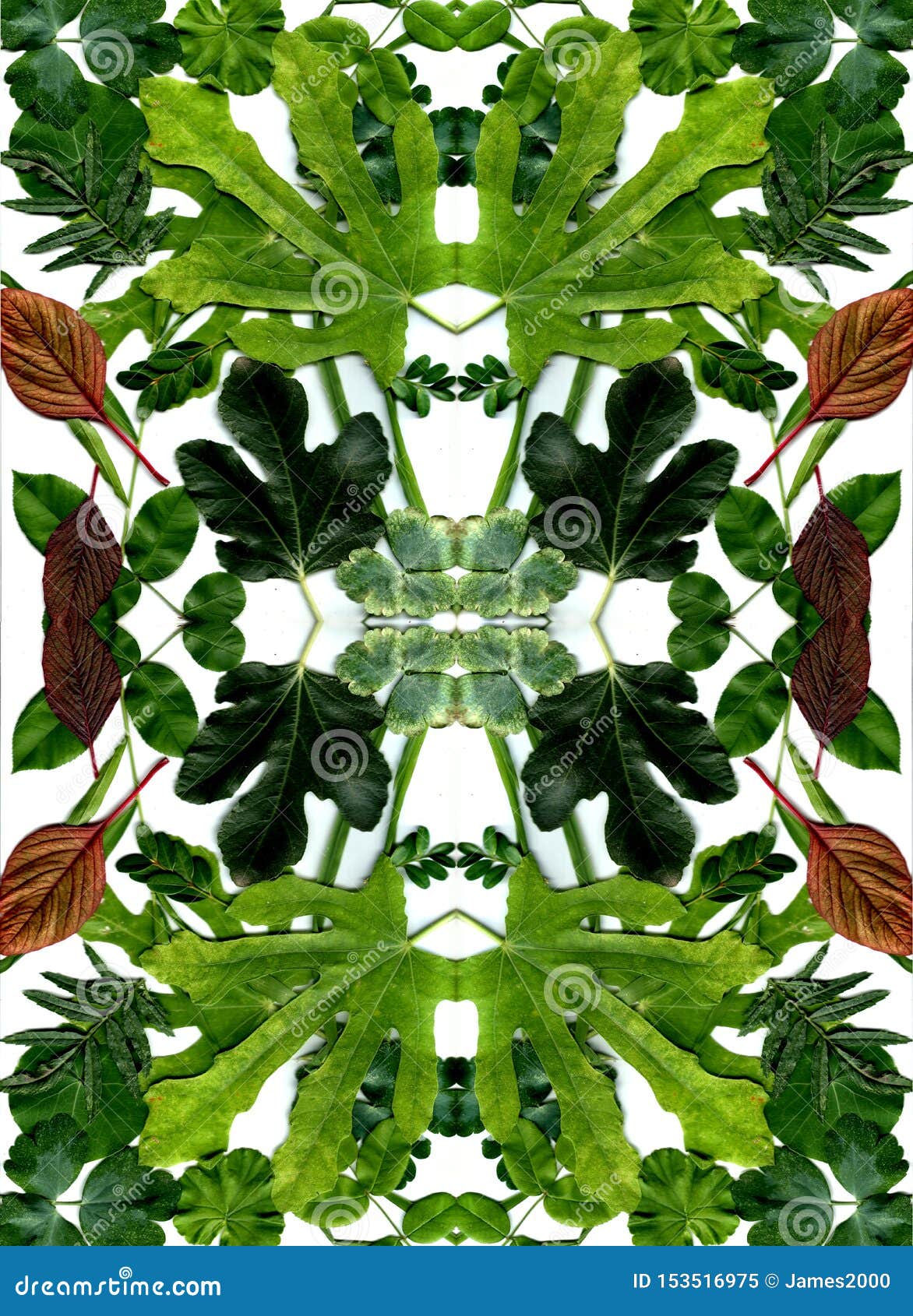 Botanical grooves stock image. Image of botany, lovenature - 153516975