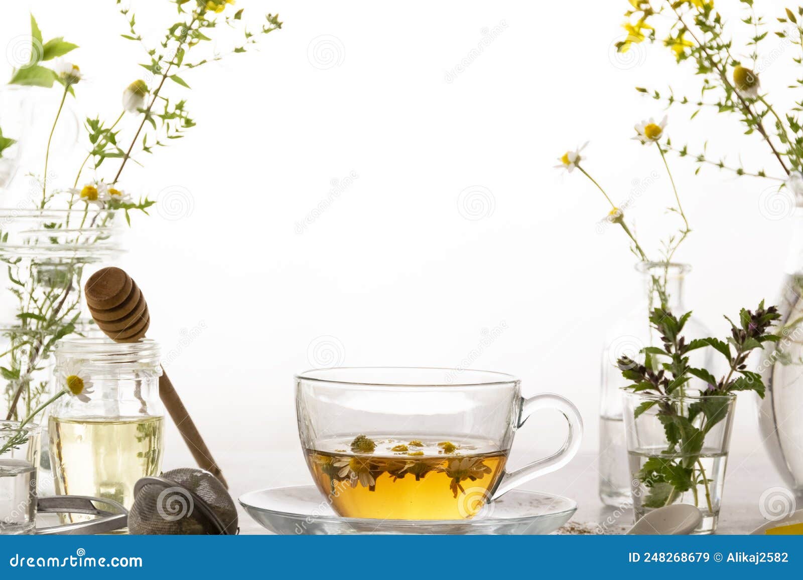 Botanical Herbal Tea, Healthy Beverage, Organic Ingredients Stock Image ...