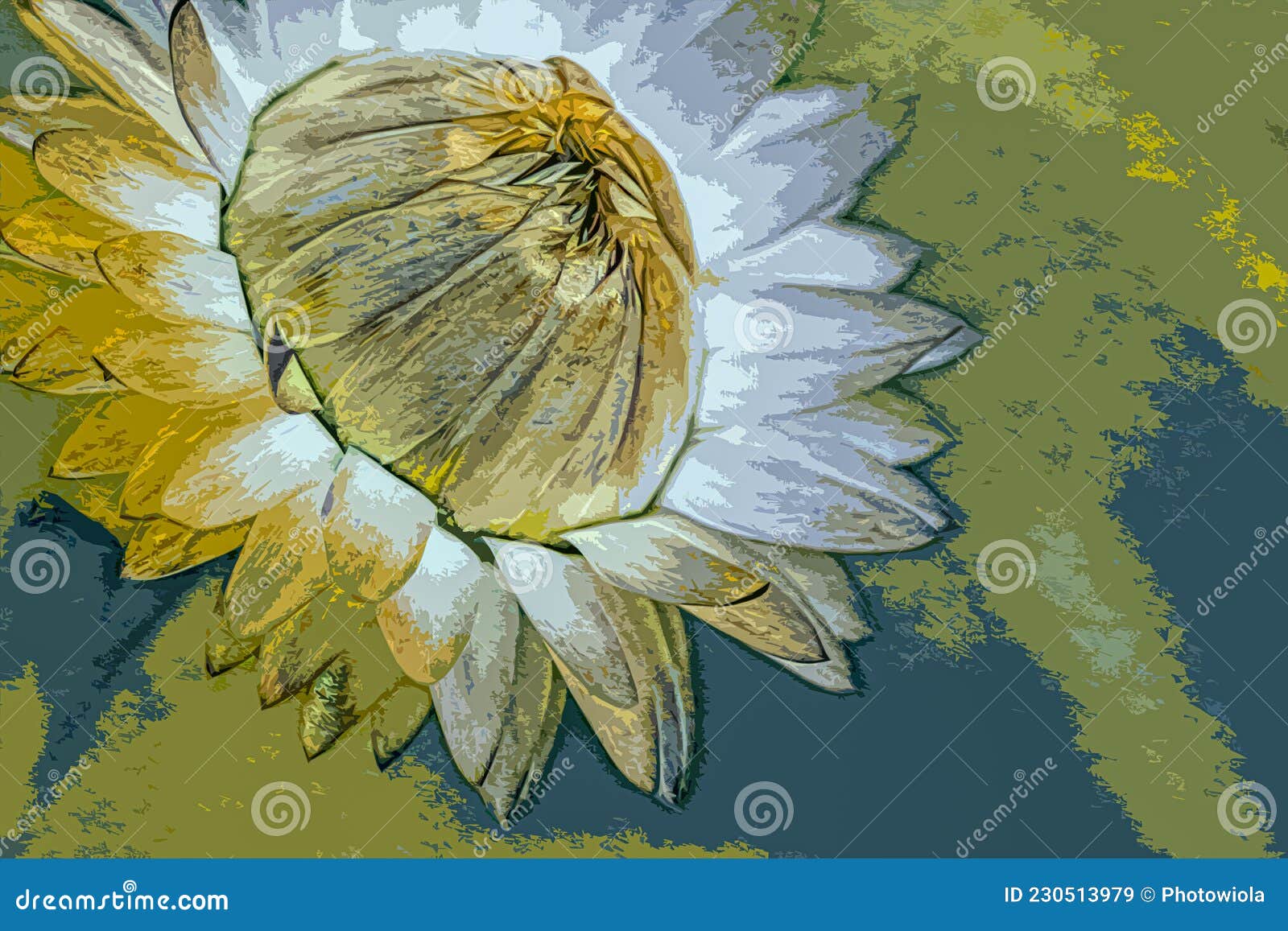 Botanical Illustration. Abstract Background Stock Image - Image of ...