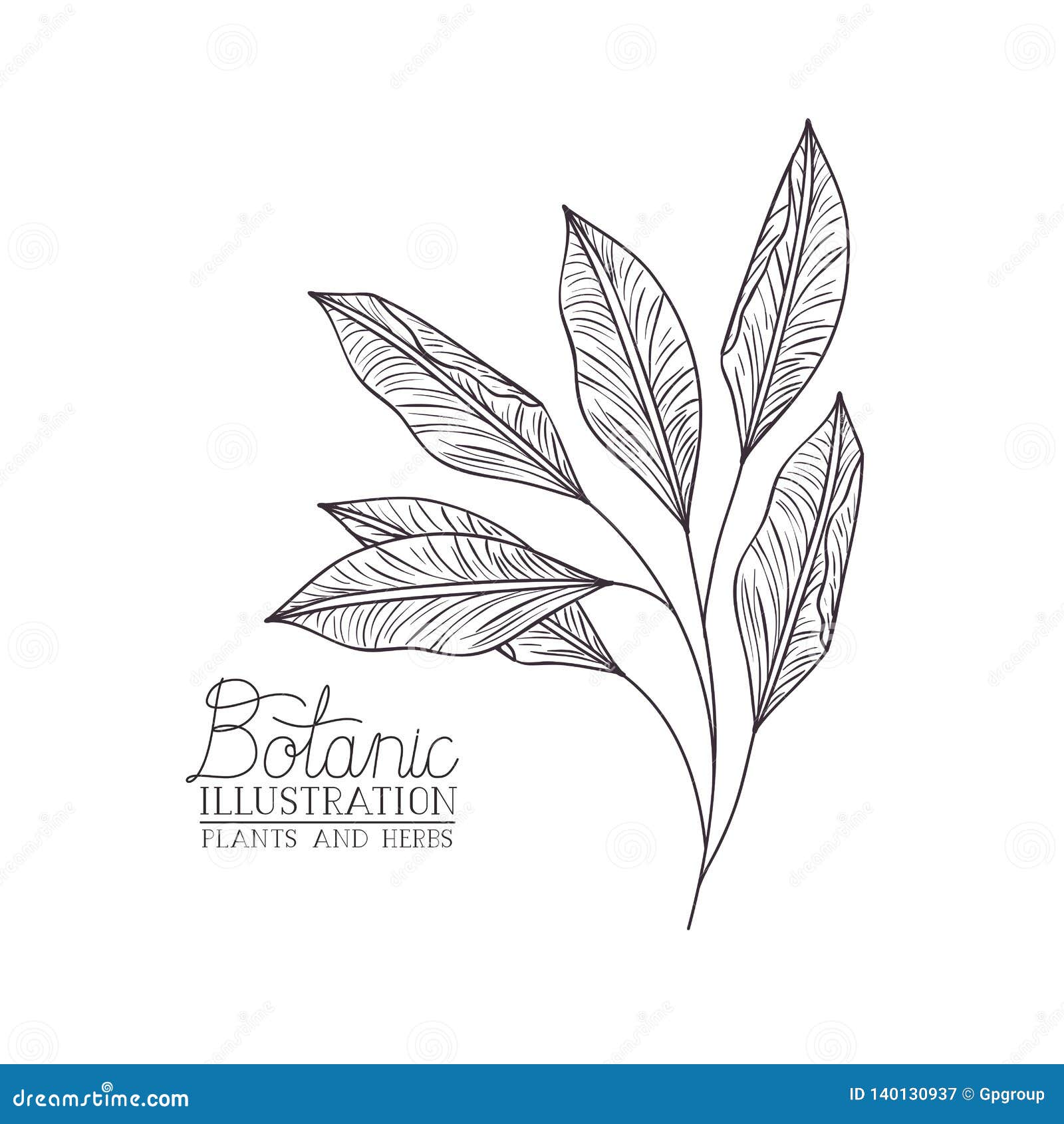 Botanical Illustration Label with Plant Stock Vector - Illustration of ...