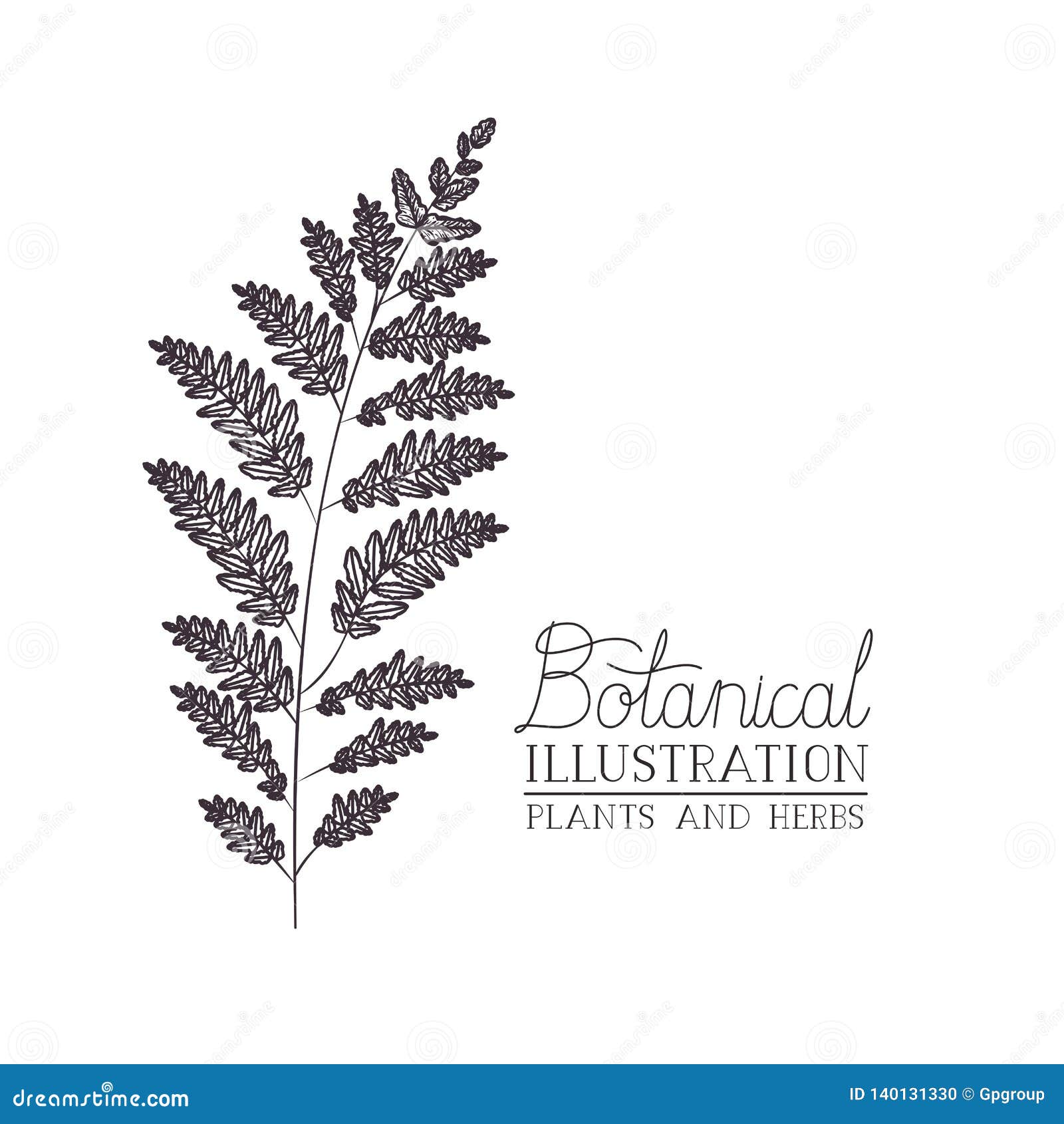Botanical Illustration Label with Plant Stock Vector - Illustration of ...