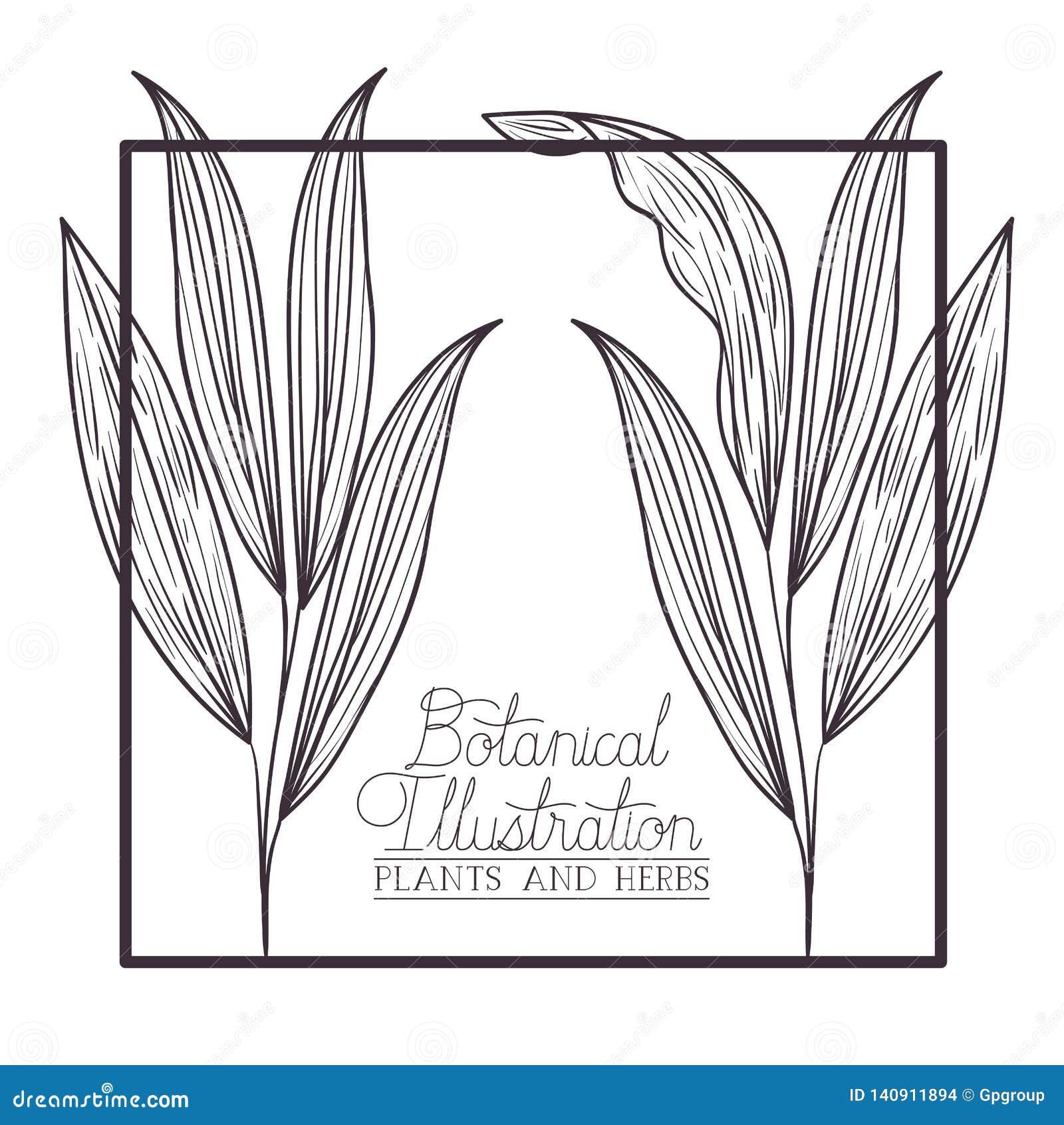 Botanical Illustration Label with Plants and Herbs Stock Vector ...