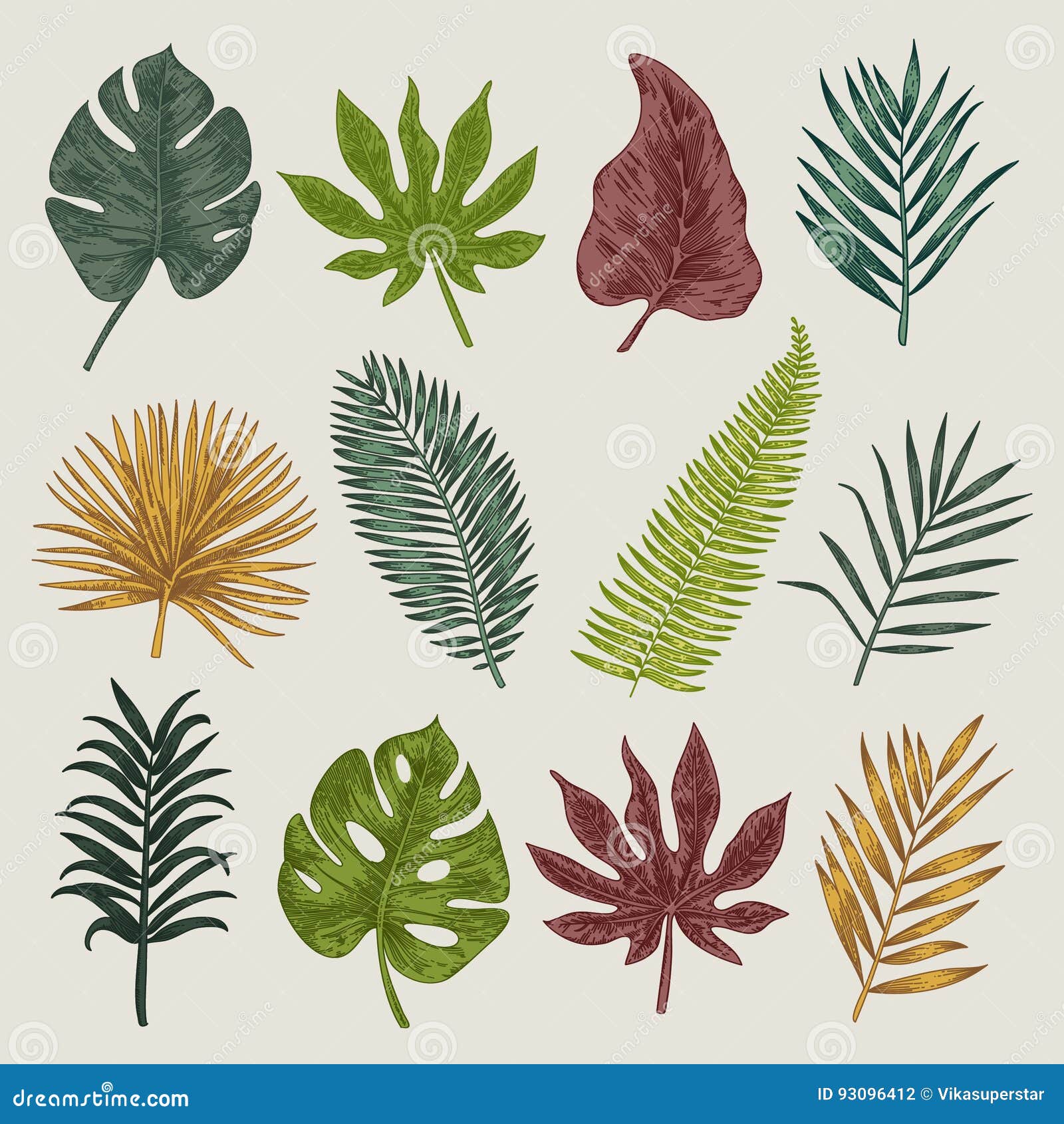 Botanical Illustration. Tropical Leaves Stock Vector - Illustration of ...
