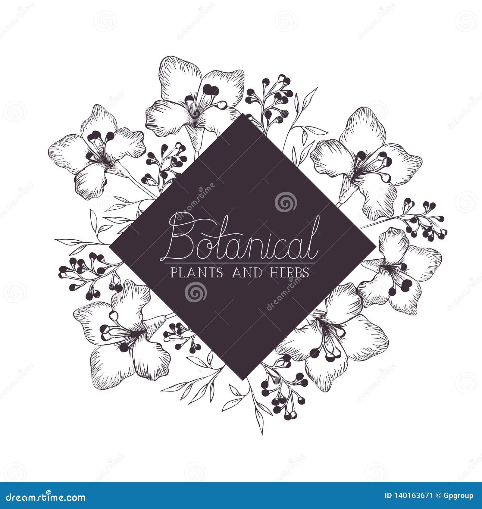 Botanical Label with Plants and Herbs Stock Vector - Illustration of ...