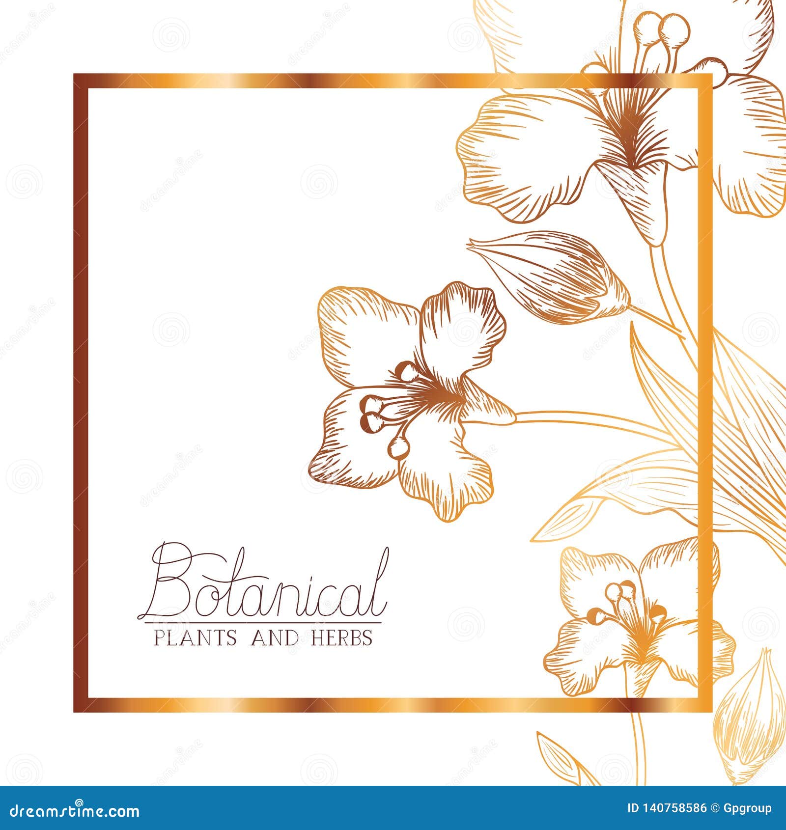 Botanical Label with Plants and Herbs Stock Vector - Illustration of ...