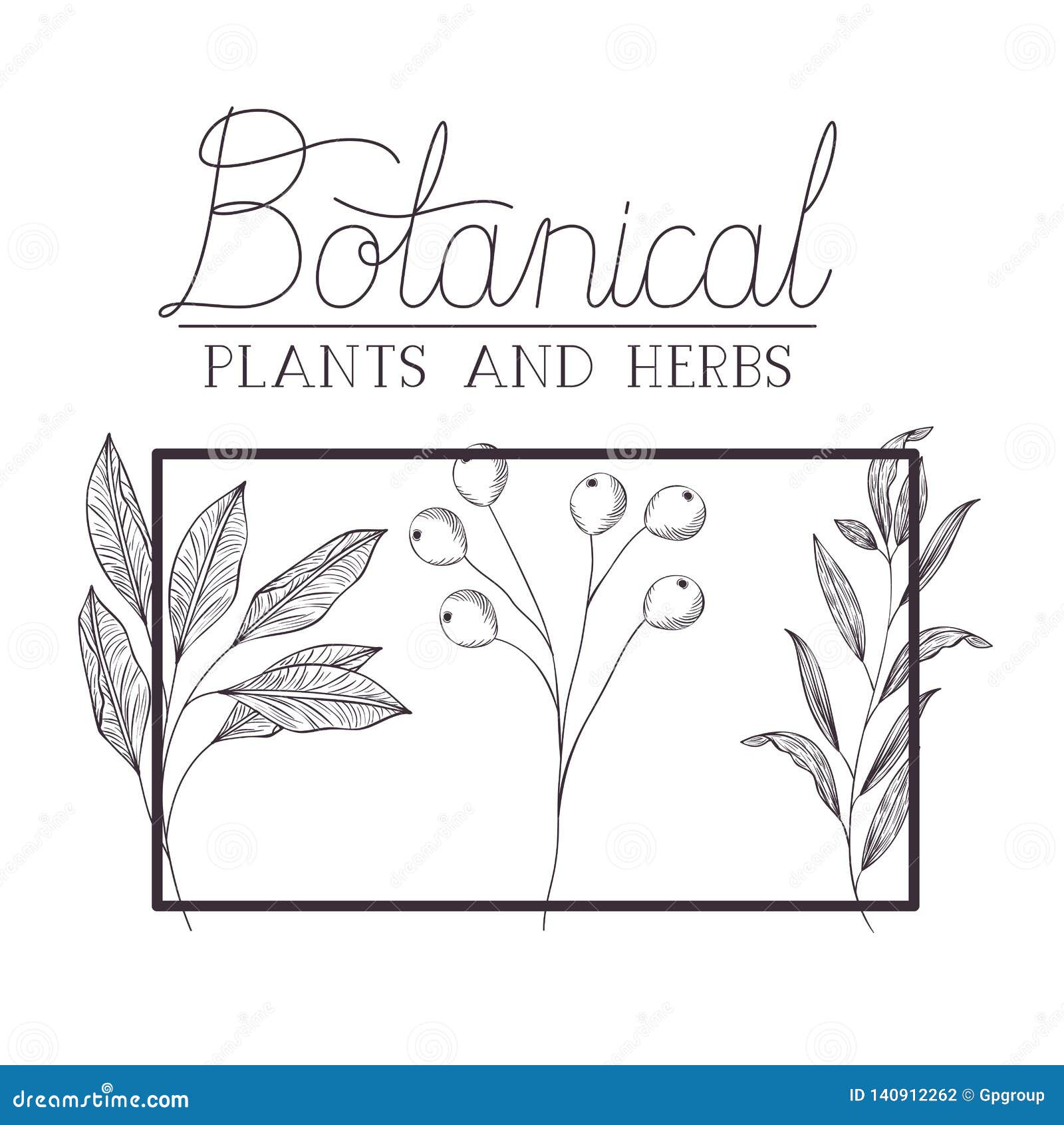 Botanical Label with Plants and Herbs Stock Vector - Illustration of ...
