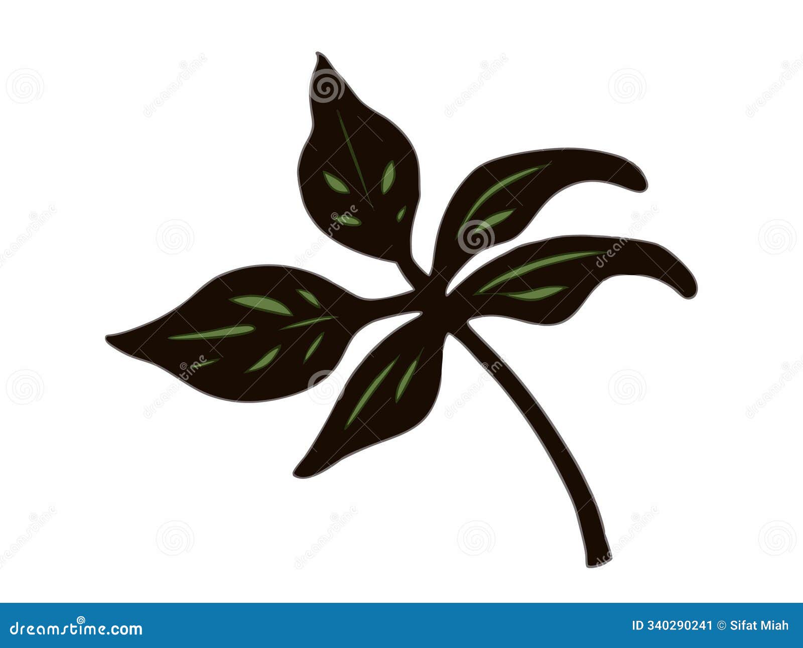 Botanical Leaf Vector on White Background Stock Illustration ...