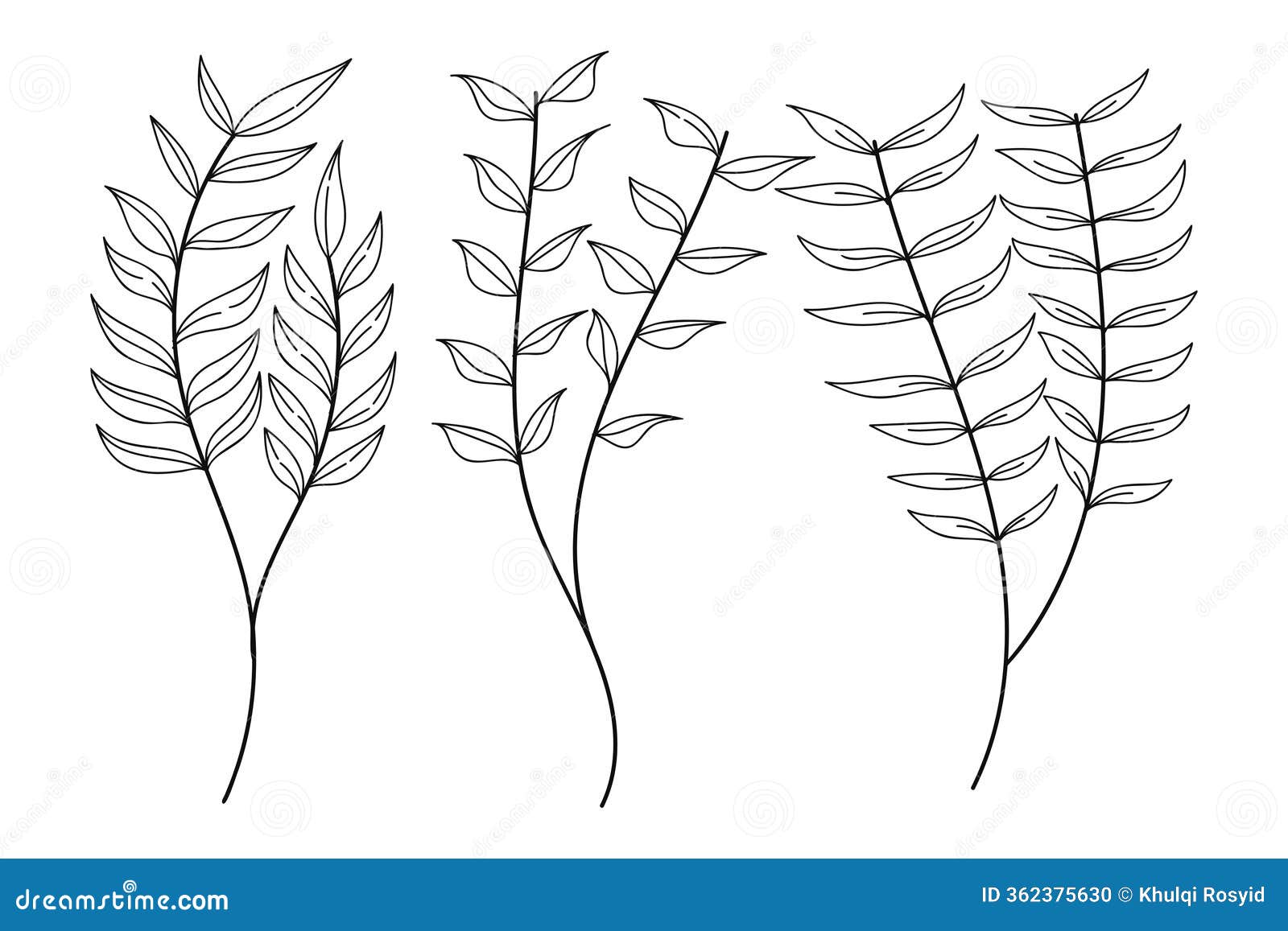 Botanical Leaves Line Art Collection. Vector Illustration Stock Vector ...