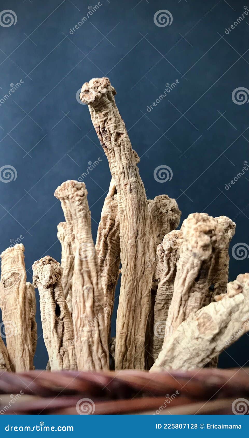 Codonopsis Roots in Basket with Black Background. Stock Photo - Image ...