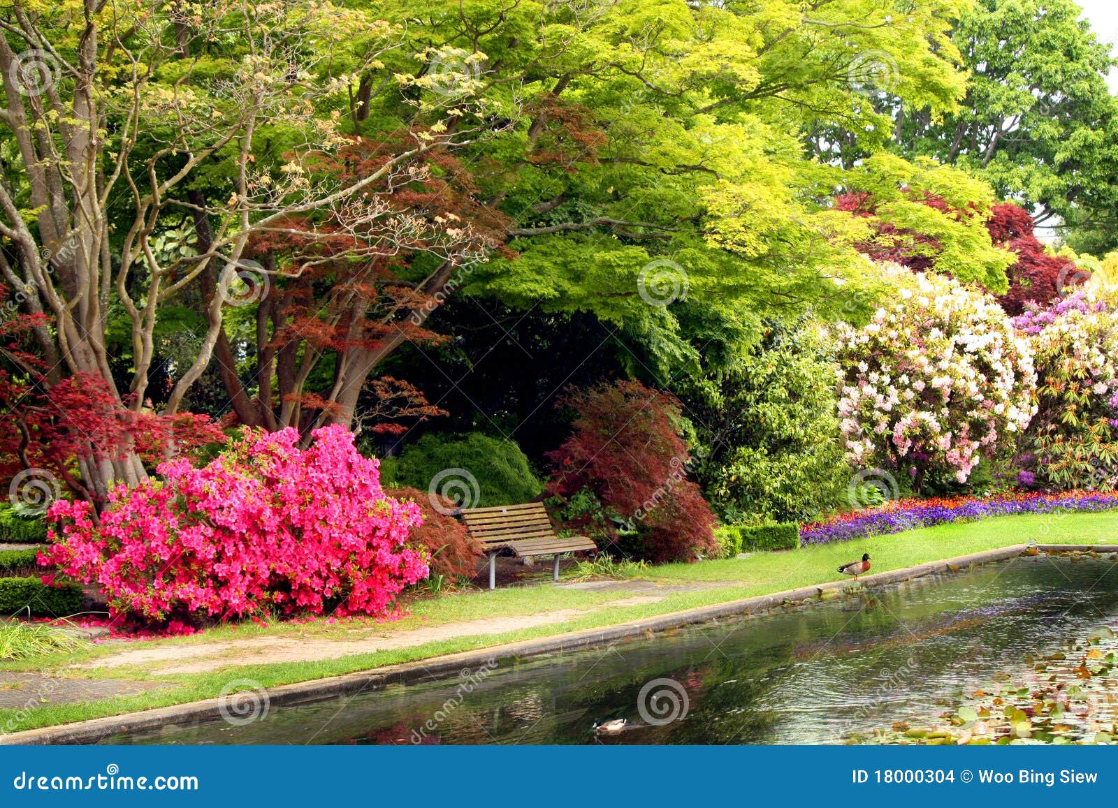 Botanical park stock photo. Image of colorful, green - 18000304