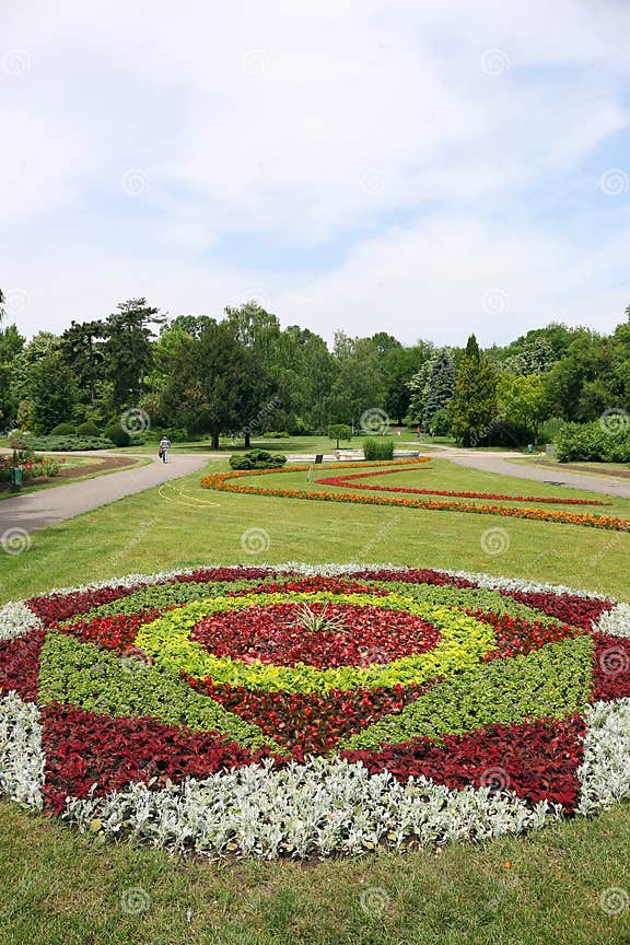 Botanical park Timisoara stock photo. Image of summer - 83882430