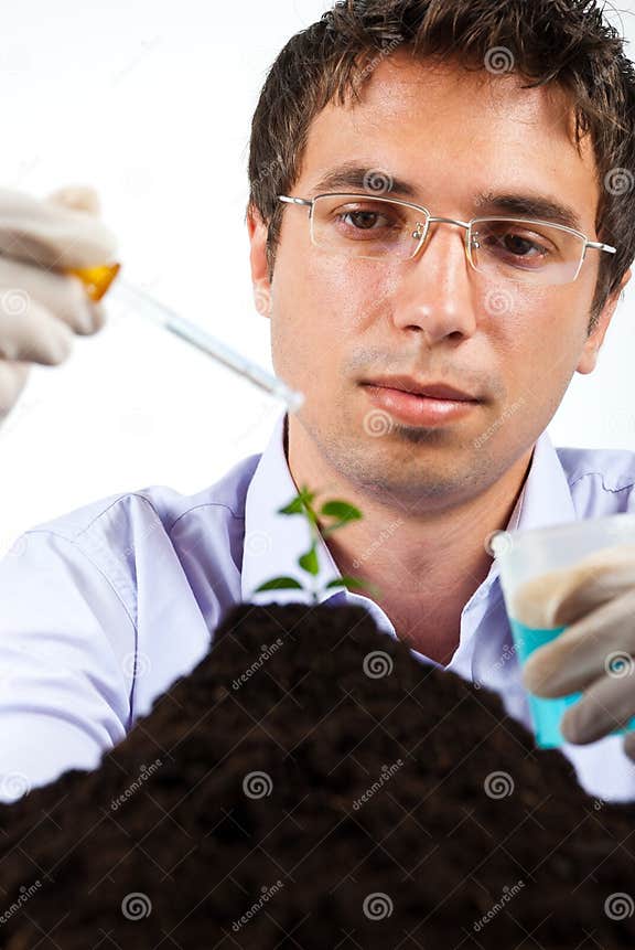 Botanical researcher stock photo. Image of botanical - 15091874