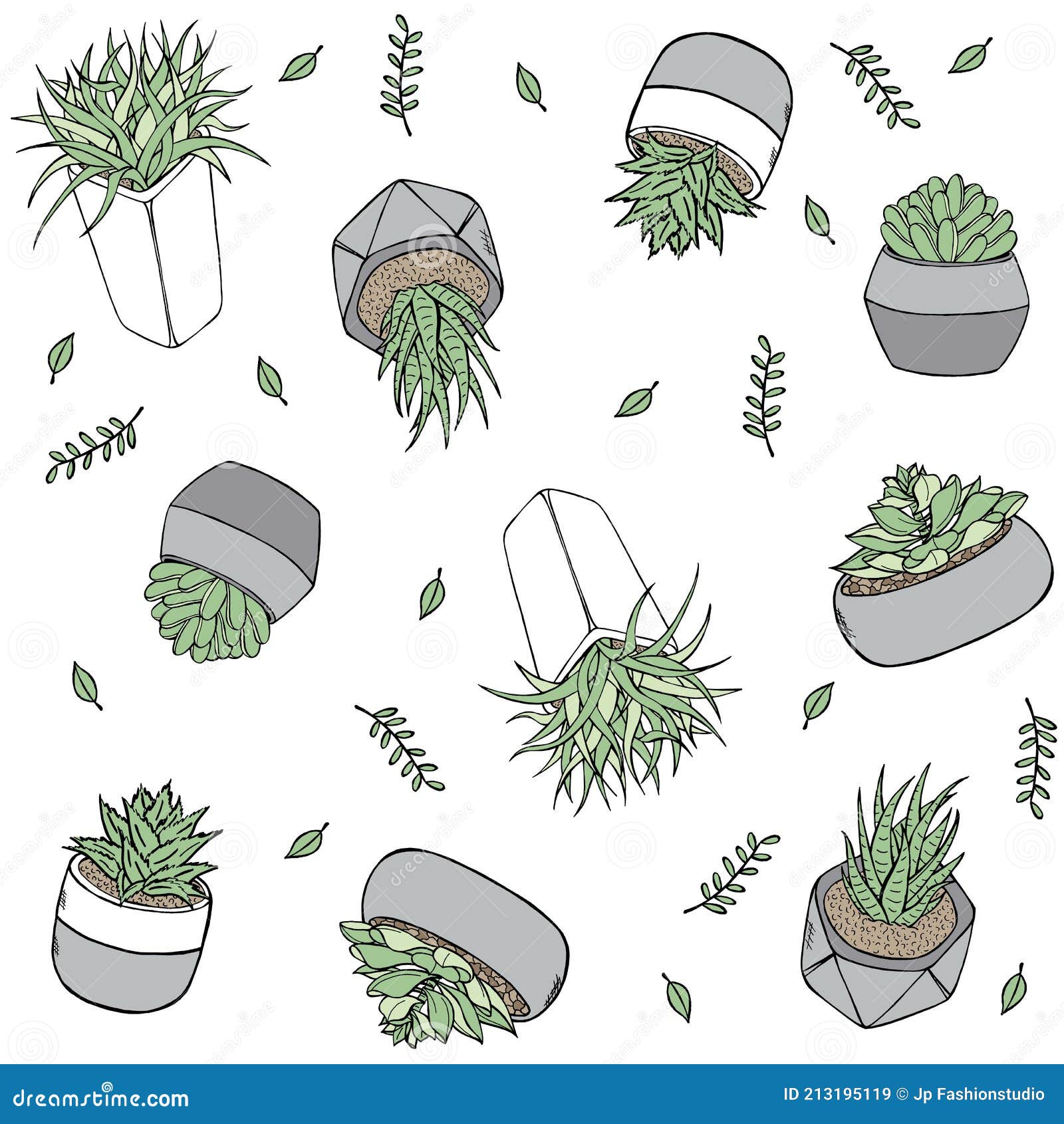 Plants In Pots. Houseplant, Succulent Plants. Ficus Planting In ...