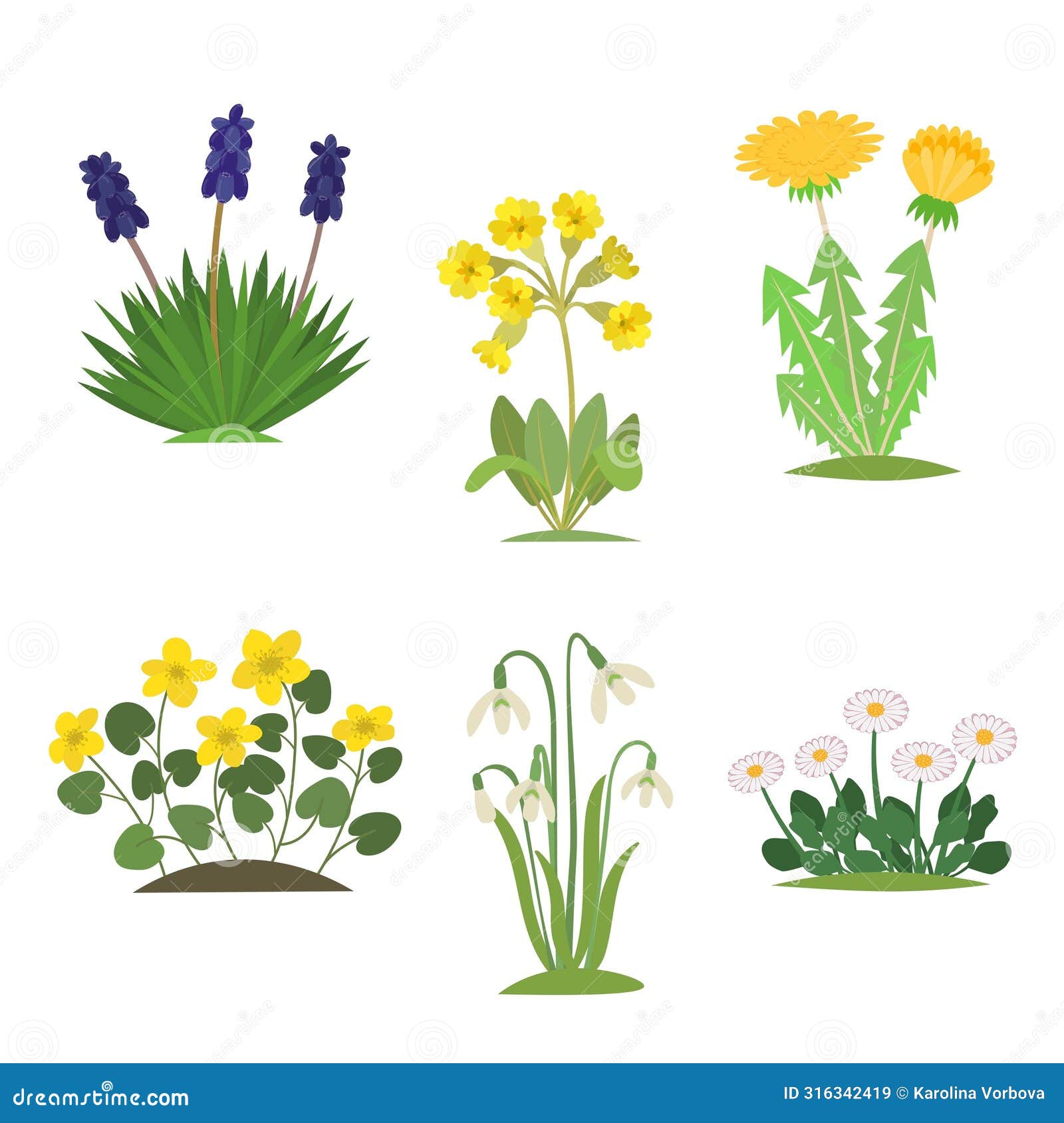 Botanical Set with Cartoon Spring Flowers Isolated on White Background ...