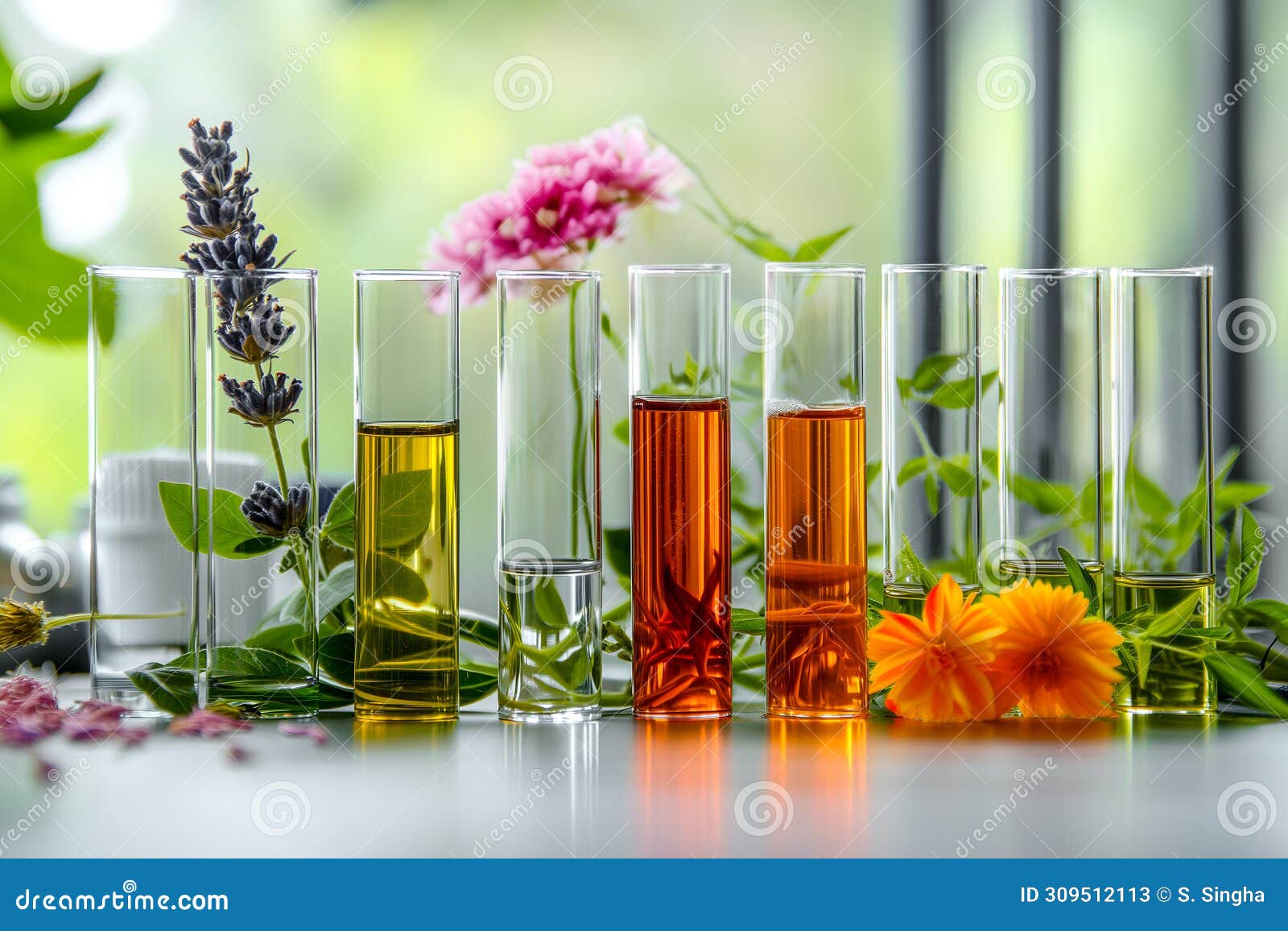 Botanical Testing Laboratory. Stock Illustration - Illustration of ...