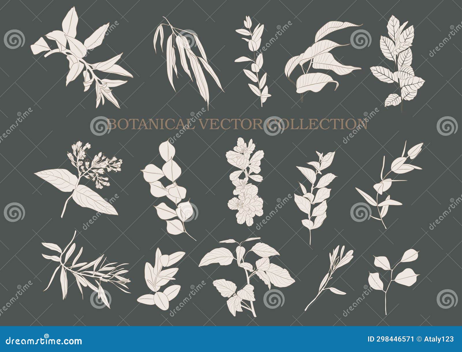 Botanical Vector Collection Stock Vector - Illustration of curves ...