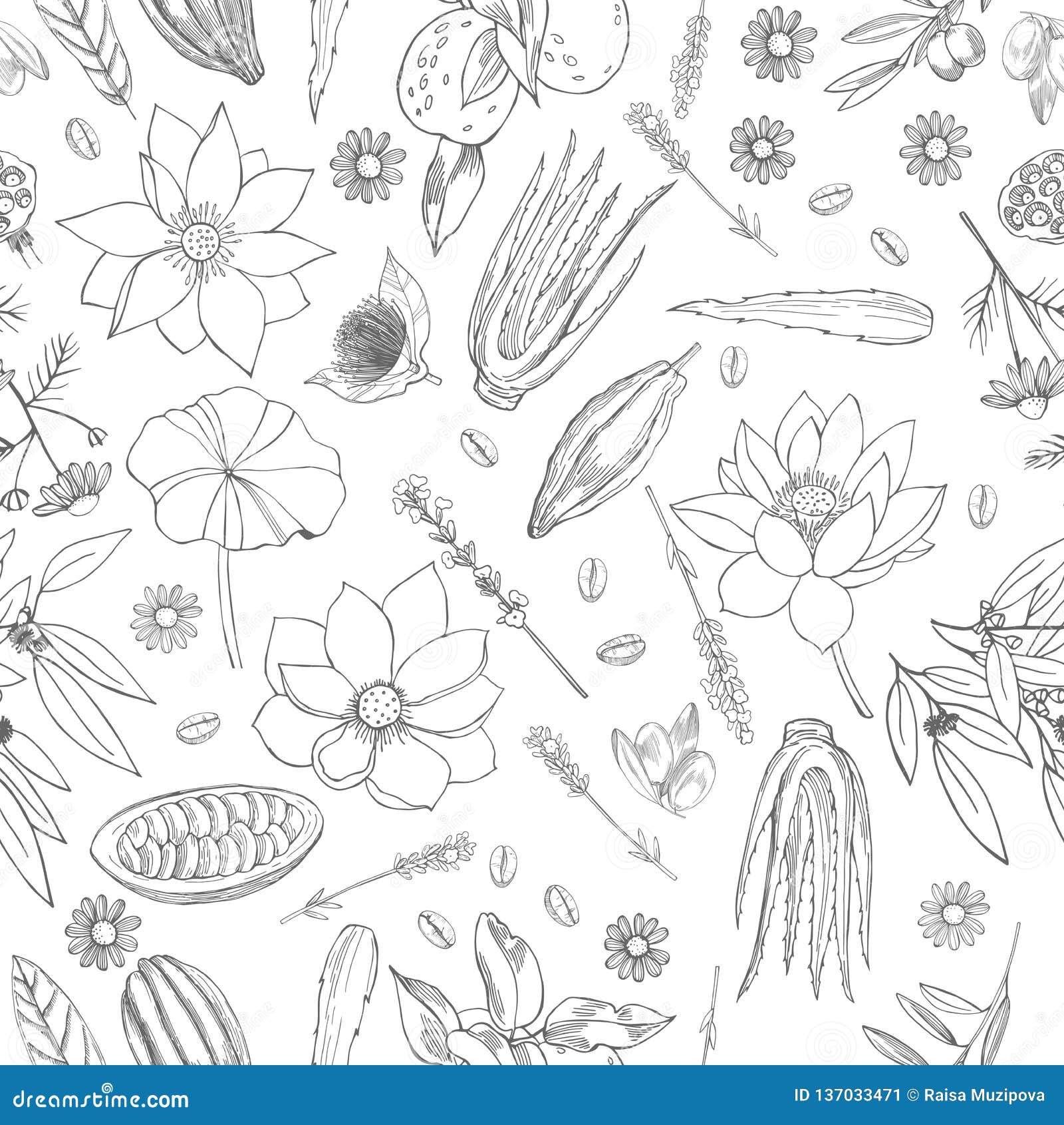 Botanical Vector Pattern with Hand Drawn Plants . Stock Vector ...