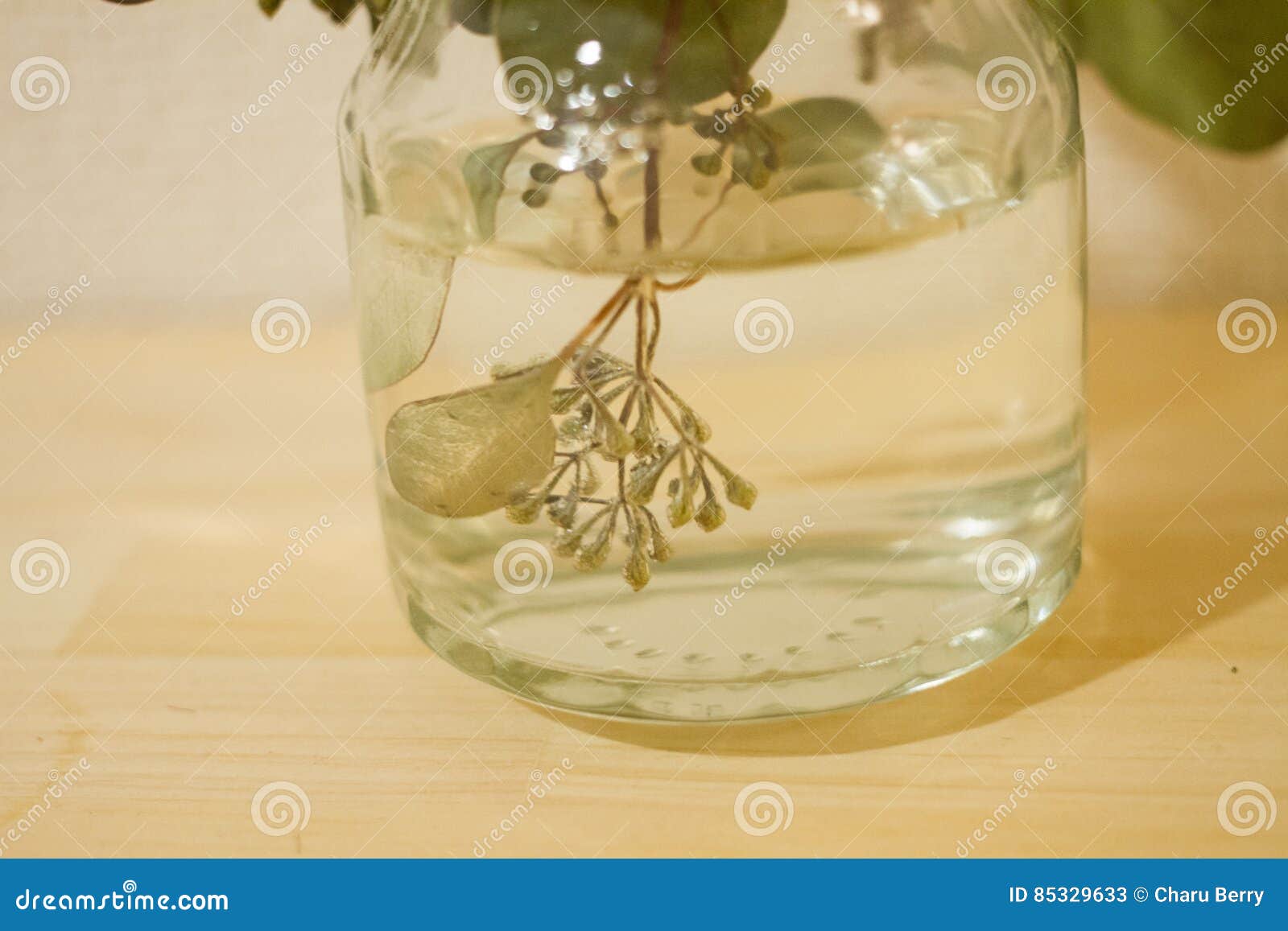 Botanical Water Stock Photo | CartoonDealer.com #85329300