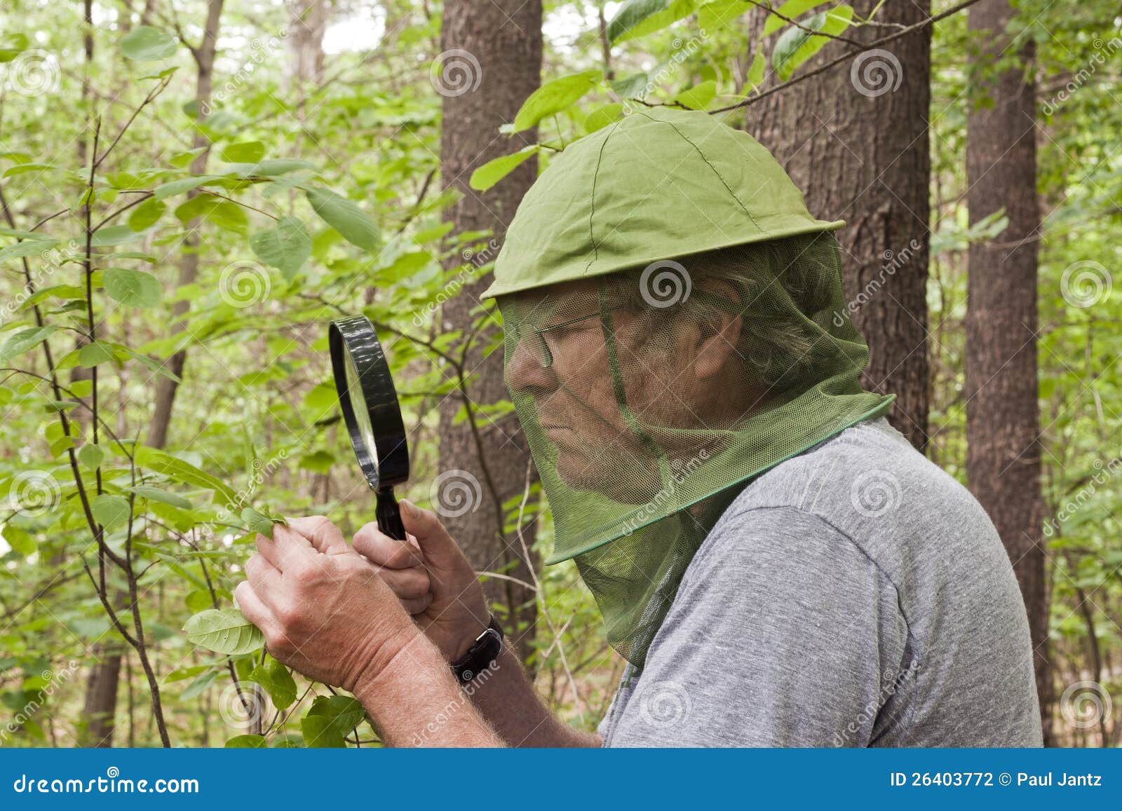 Botanist stock photo. Image of search, mesh, research - 26403772