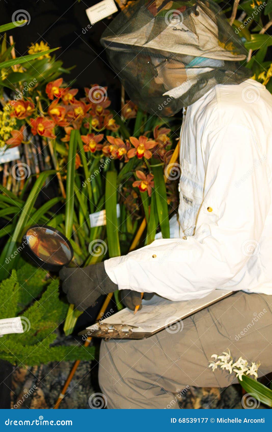 Botanist stock image. Image of study, education, scientist - 68539177