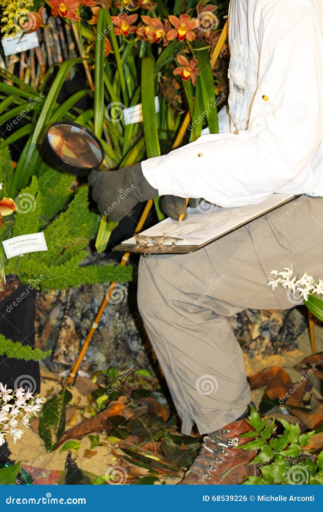 Botanist stock photo. Image of outreach, specializes - 68539226