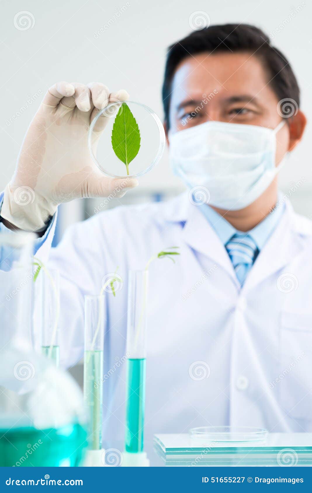 Botanist at research stock image. Image of mask, uniform - 51655227