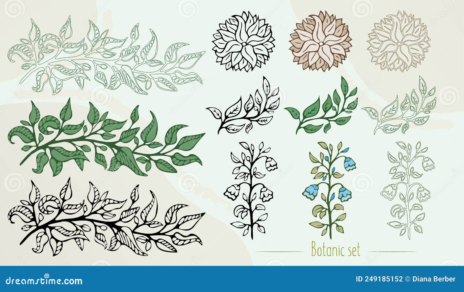 Set of Plants, Braches, Leaves Drawings Stock Vector - Illustration of ...