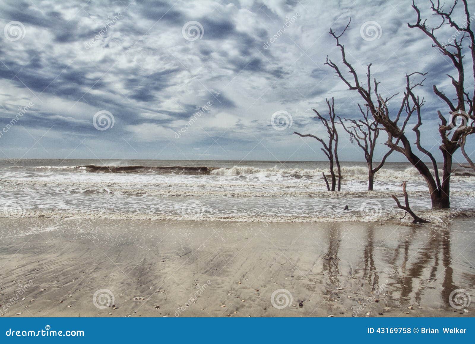 Botany Bay Beach stock photo. Image of botany, beautiful - 43169758