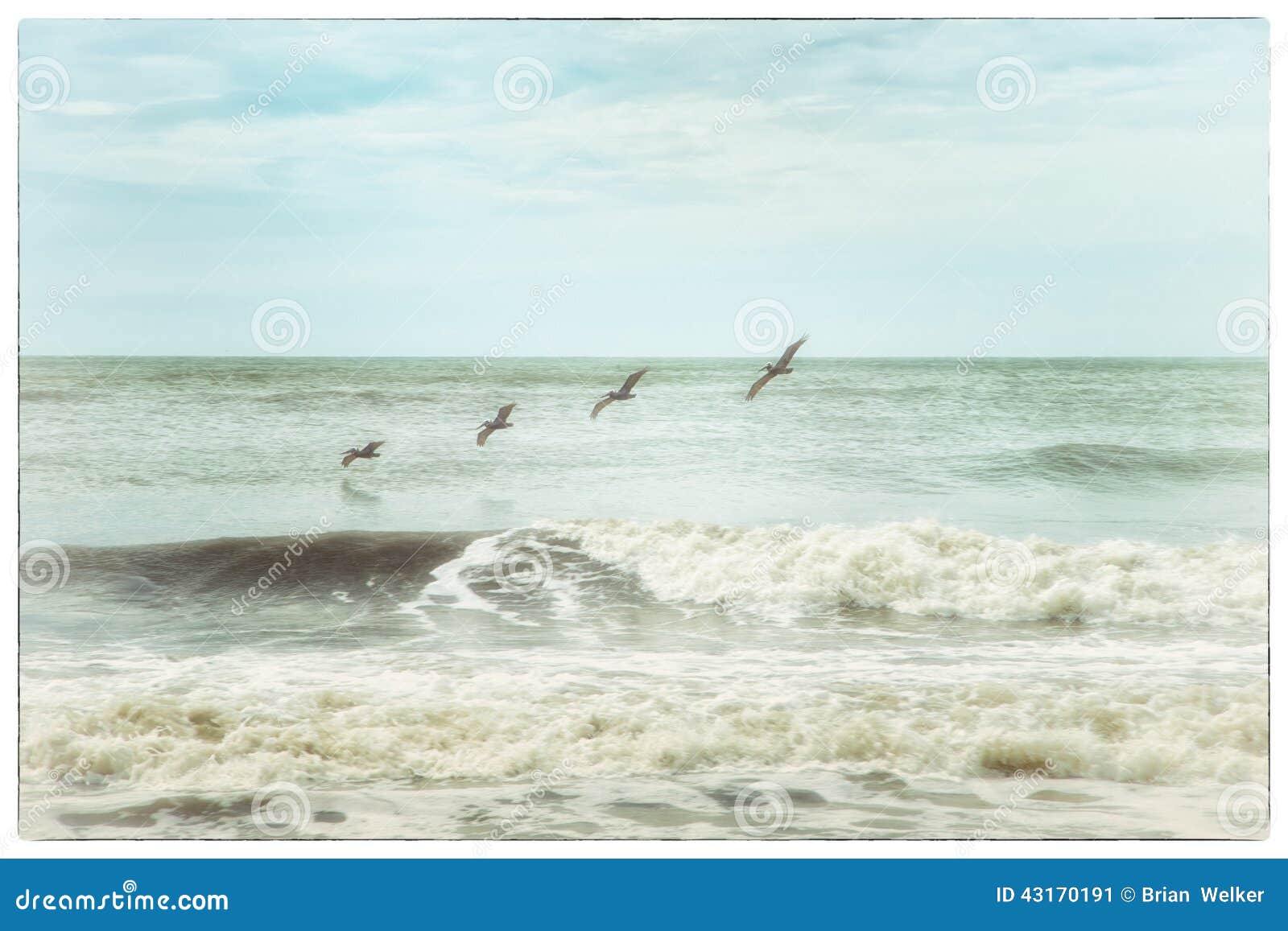 Botany Bay Beach stock image. Image of shore, carolina - 43170191
