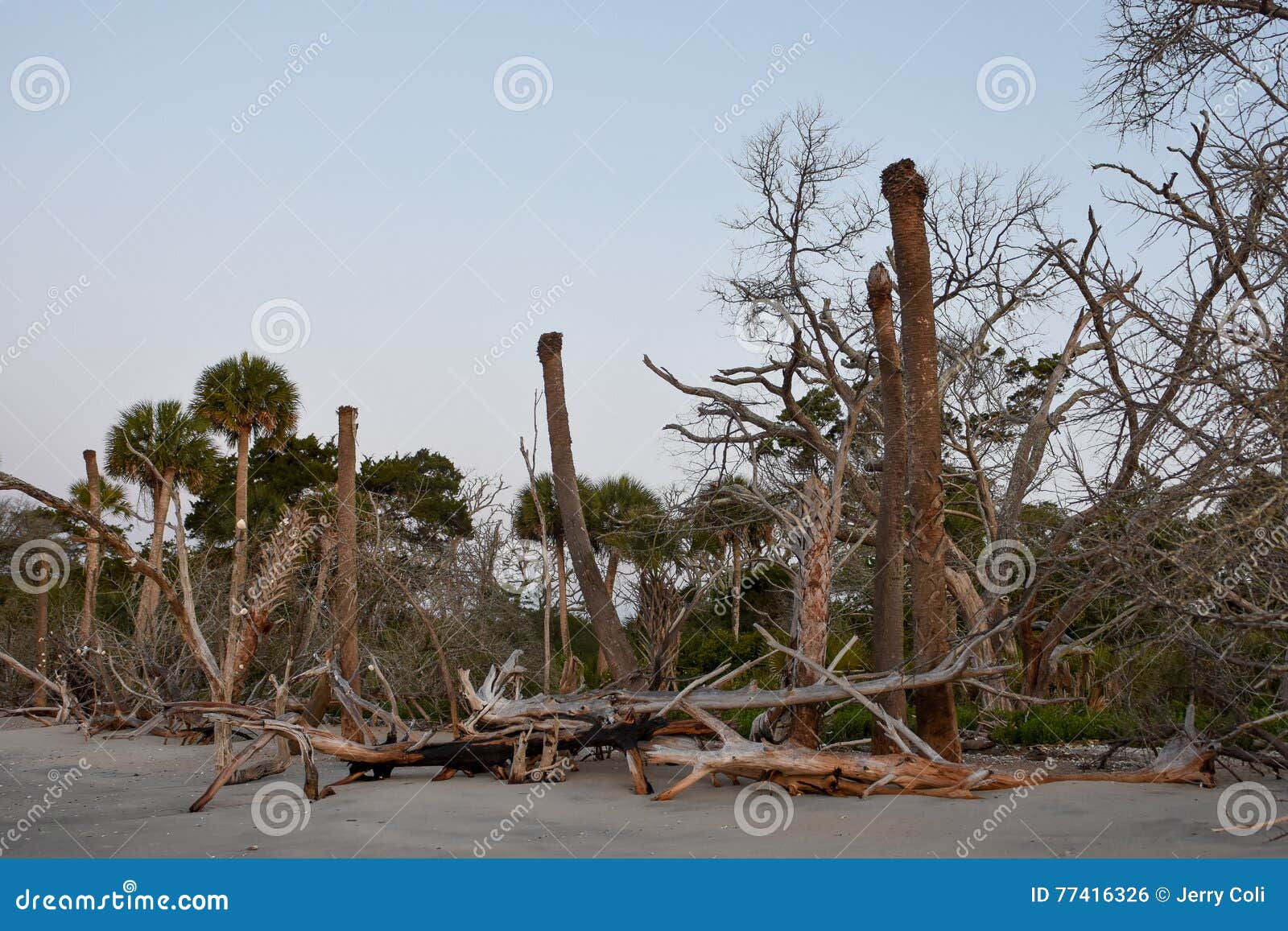 Historic Driftwood Resort Editorial Photo | CartoonDealer.com #168221955 Historic Driftwood Resort Editorial Photo | CartoonDealer.com #168221955