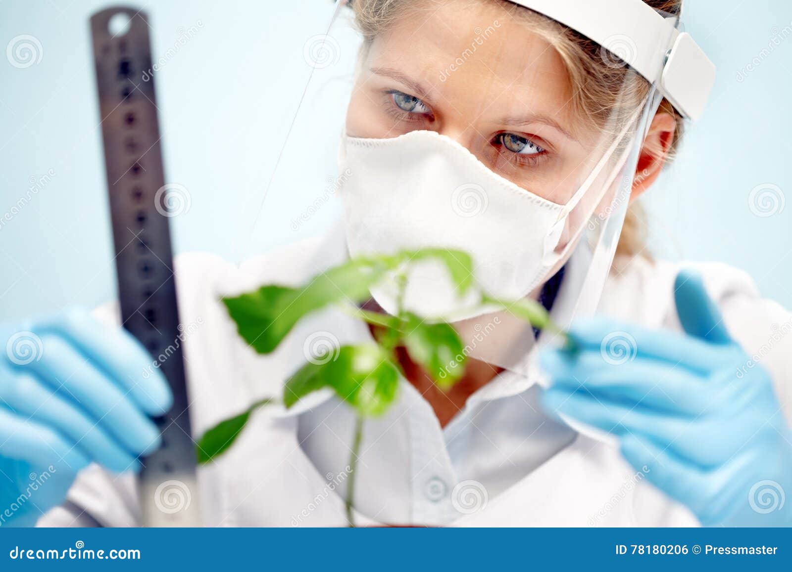 Botany stock photo. Image of woman, environment, biology - 78180206