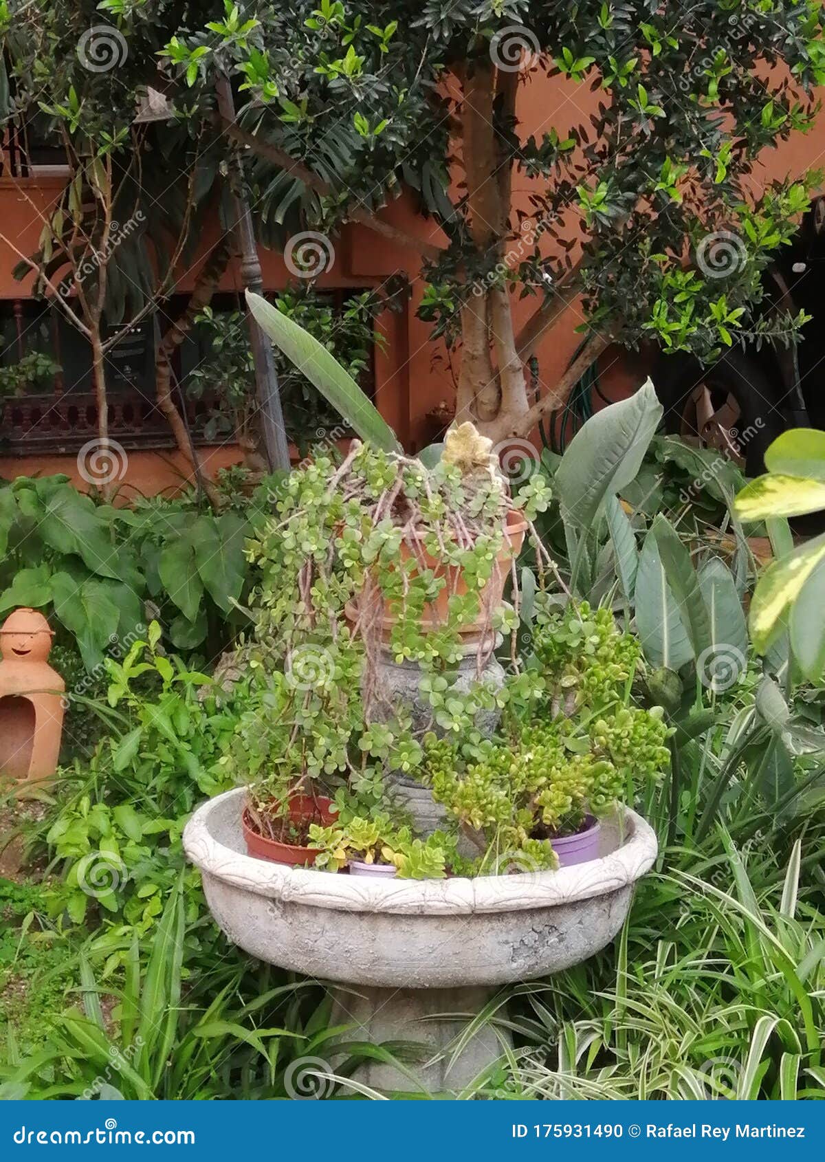 Botany -garden Corner- Andalusia Stock Photo - Image of nature, plants ...