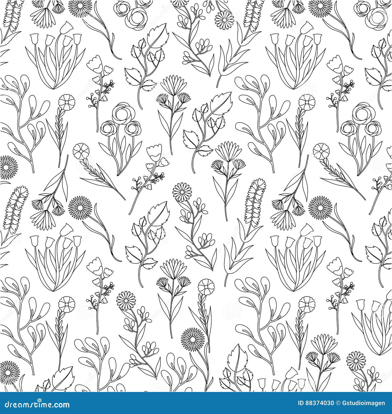 Botany and herbs design stock vector. Illustration of shape - 88374030