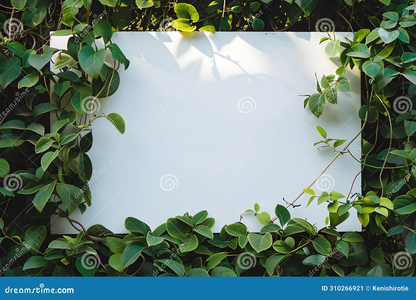 Botany Layout with Leaves Bordering for Copy Space Stock Image - Image ...