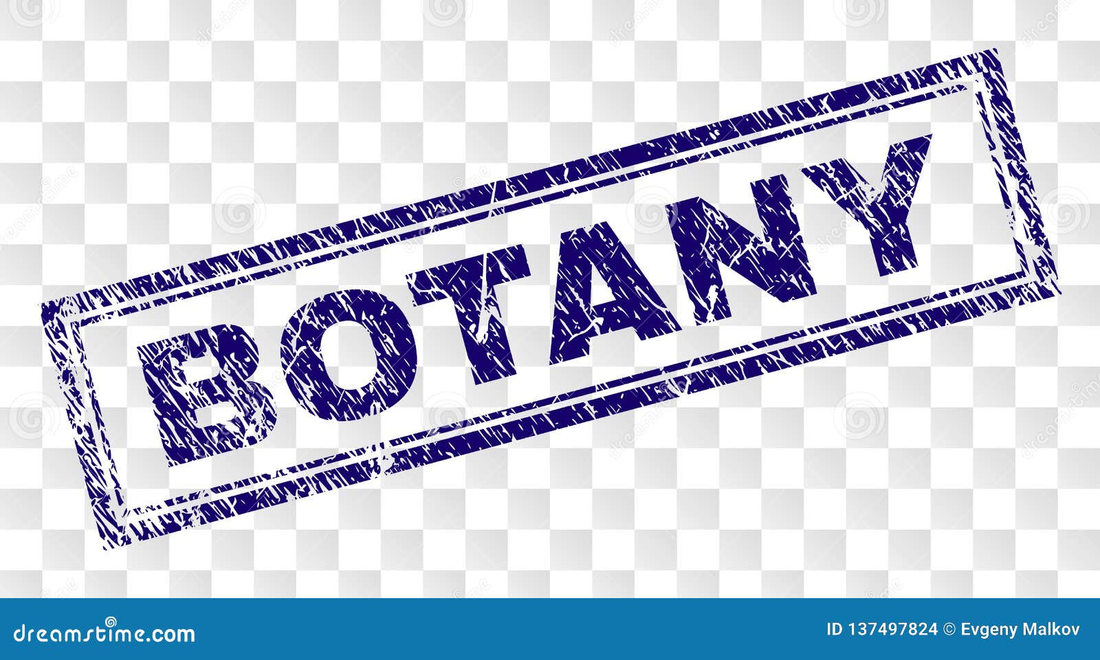 Scratched BOTANY Rectangle Stamp Stock Vector - Illustration of vector ...