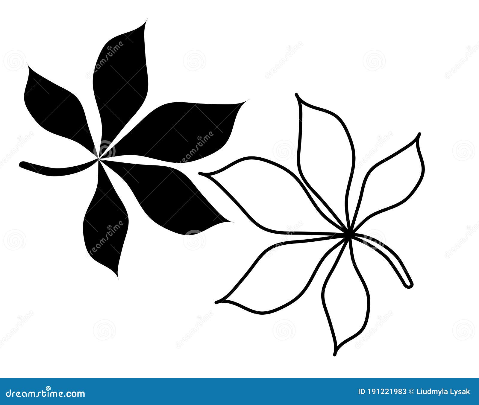 Botany. Vector Drawing of a Leaf of a Chestnut Tree. Black Outline and ...