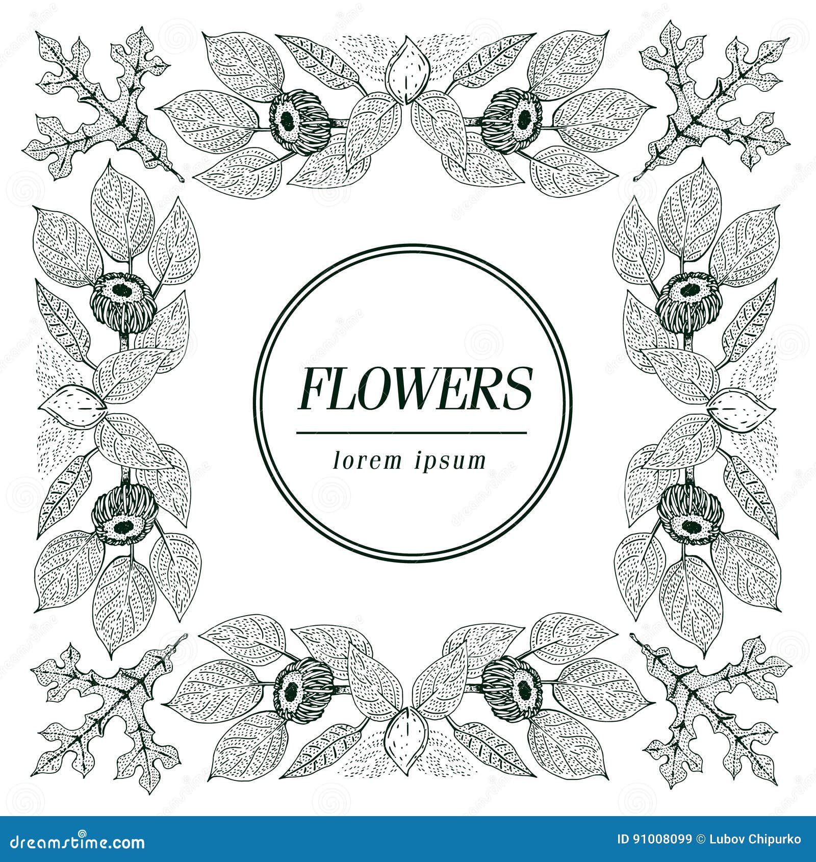 Botany Vintage Design Template. Botanical Frame. Vector Illustration ...