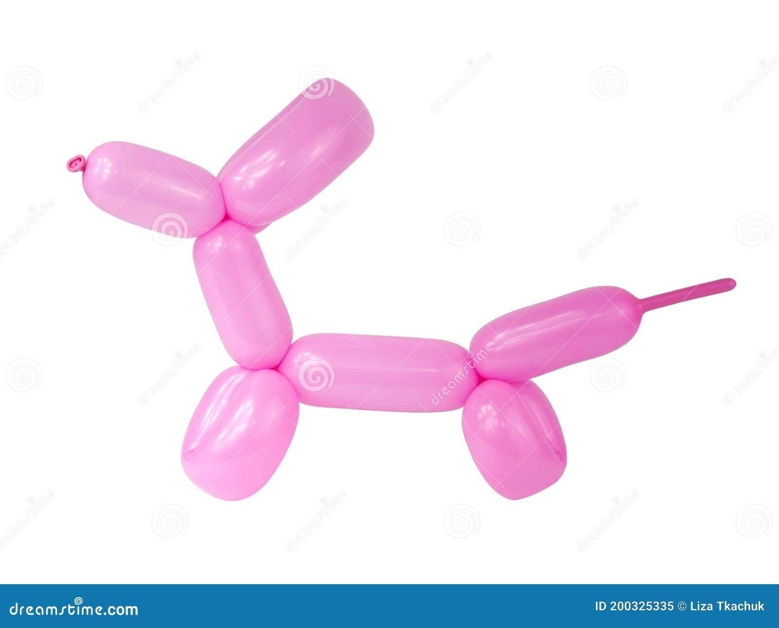 Bote De Perro Rosa Con Globo Aislado En Blanco Imagen de archivo ...