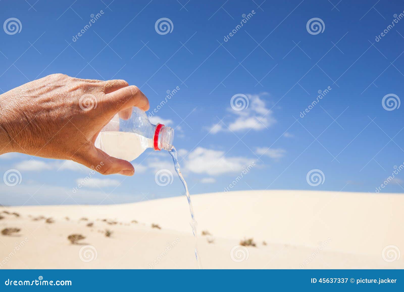 Botella De Agua En El Desierto Imagen de archivo - Imagen de seco ...