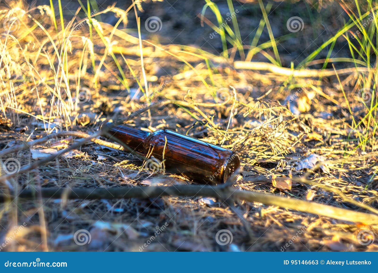 Botella de cerveza imagen de archivo. Imagen de paisaje - 95146663