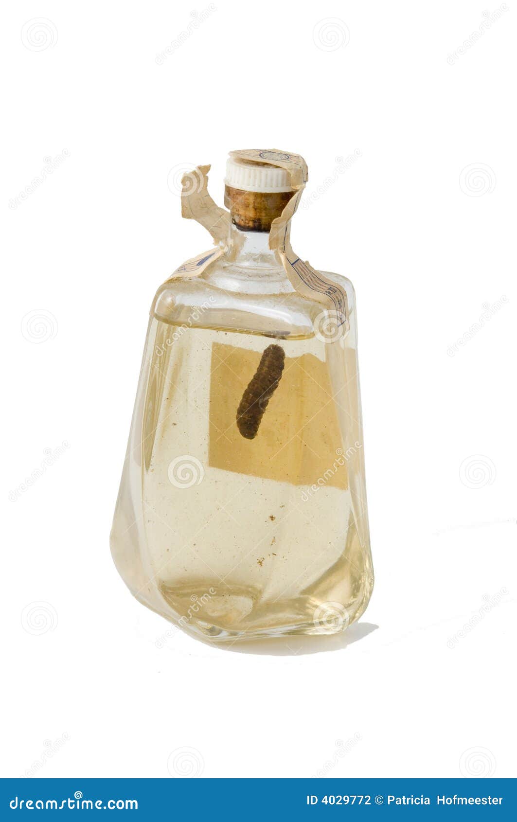 Botella De Mezcal Con El Gusano Foto de archivo - Imagen de prohibido ...