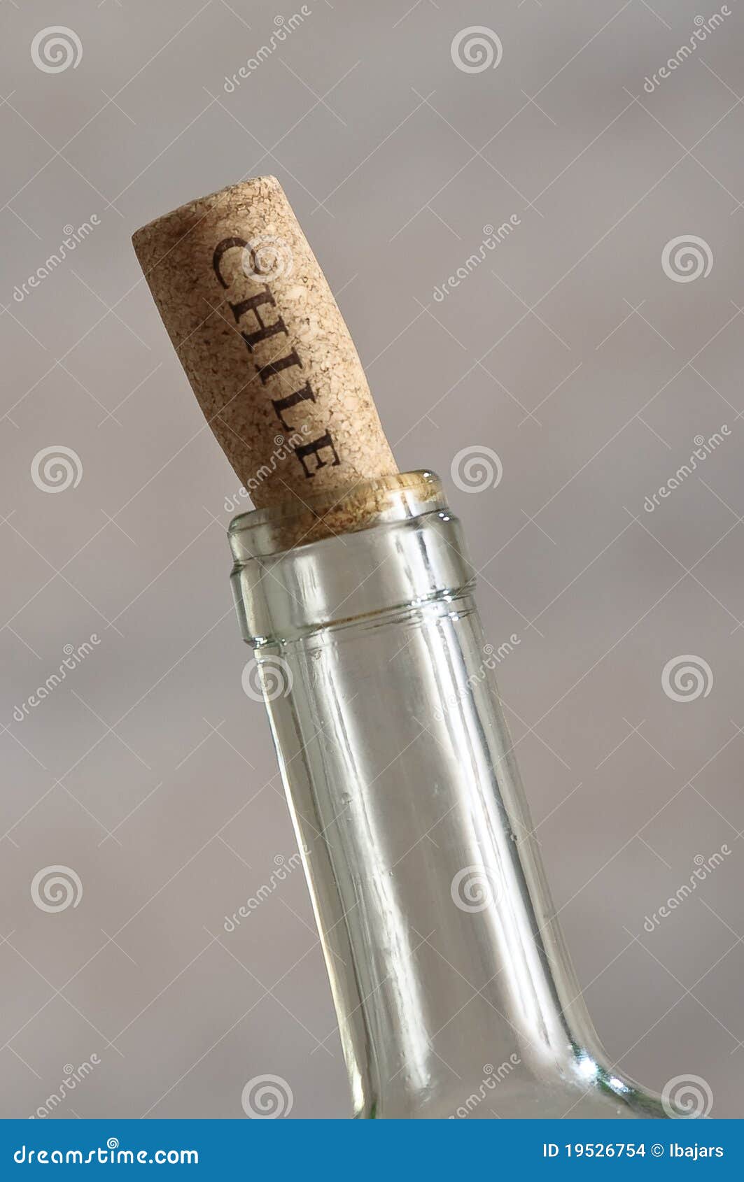 Botella de vino de Chile foto de archivo. Imagen de botella - 19526754