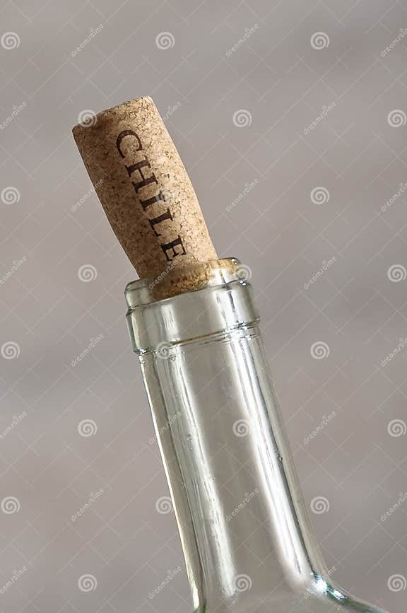 Botella de vino de Chile foto de archivo. Imagen de botella - 19526754