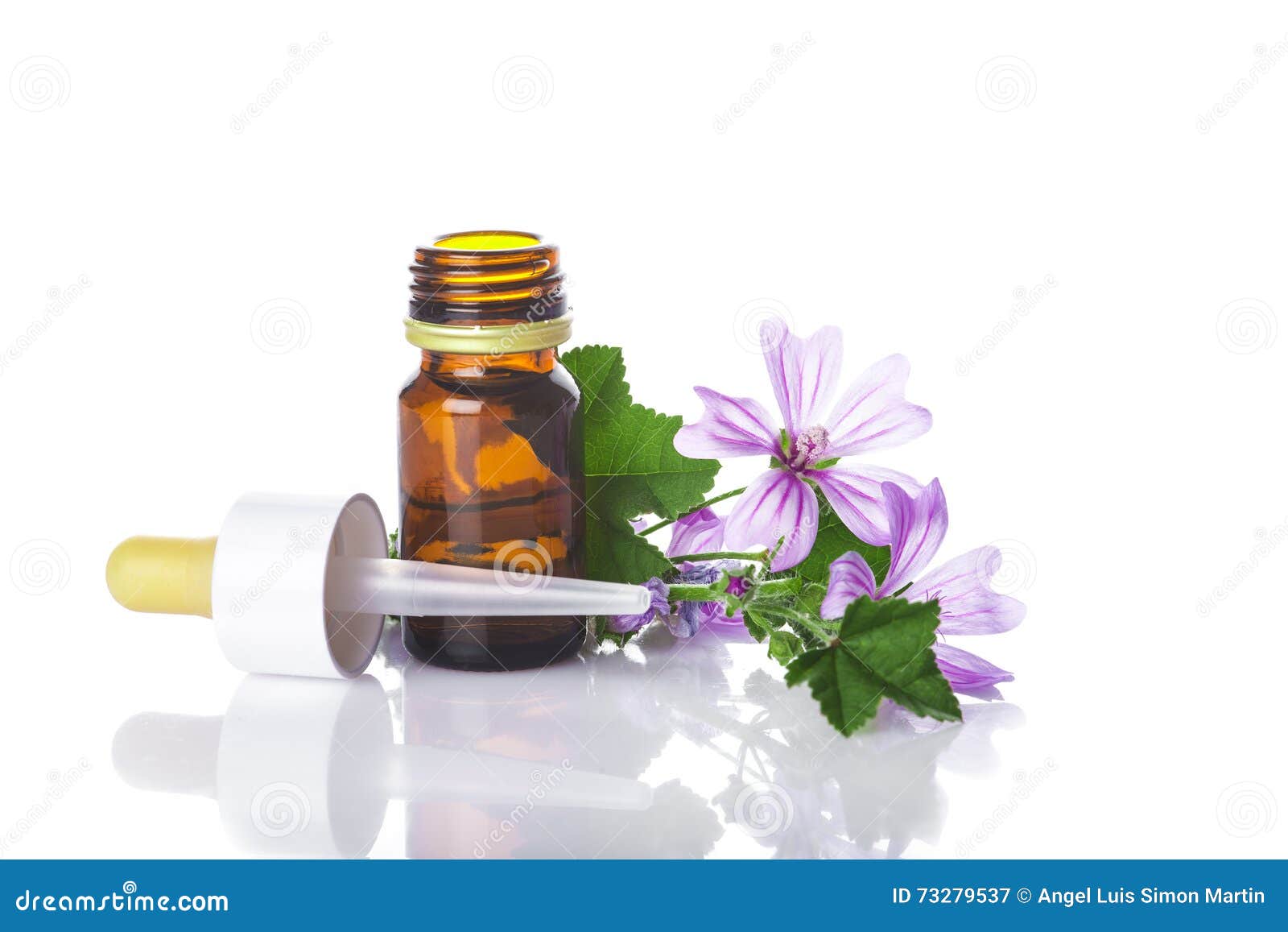 Botella Del Dropper Con El Extracto Del Malva De La Malva Imagen de ...