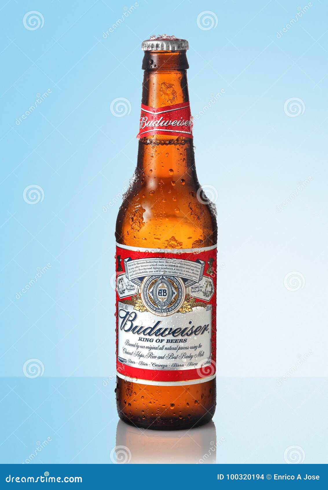 Botella Fría De Cerveza De Budweiser Imagen de archivo editorial ...