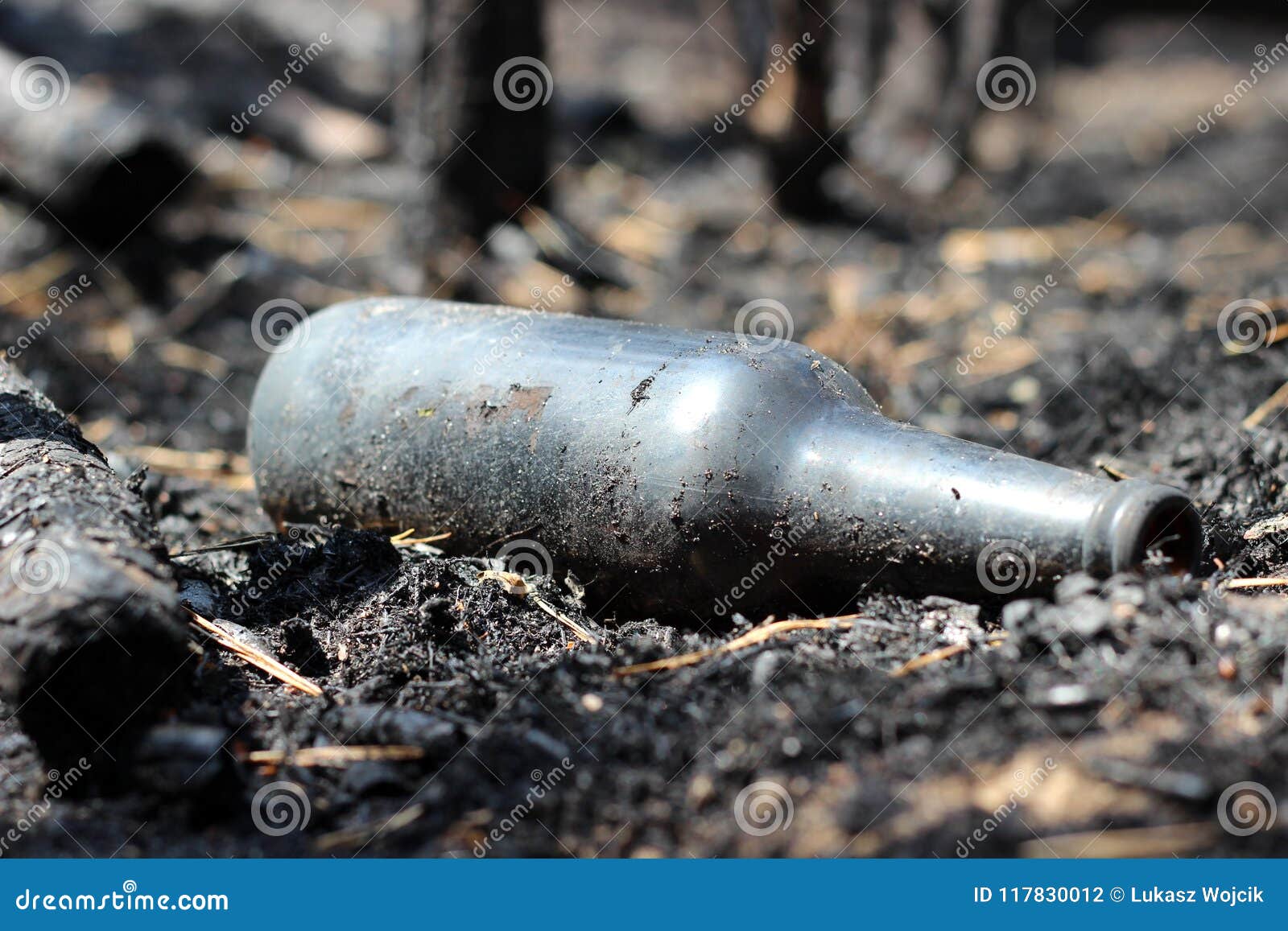 Botella quemada foto de archivo. Imagen de bosque, quemado - 117830012