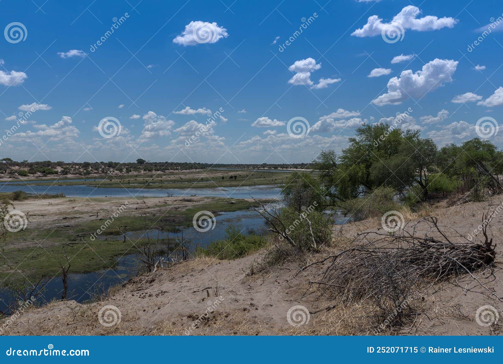 The Boteti River at Low Tide in Summer, Botswana Stock Image - Image of ...