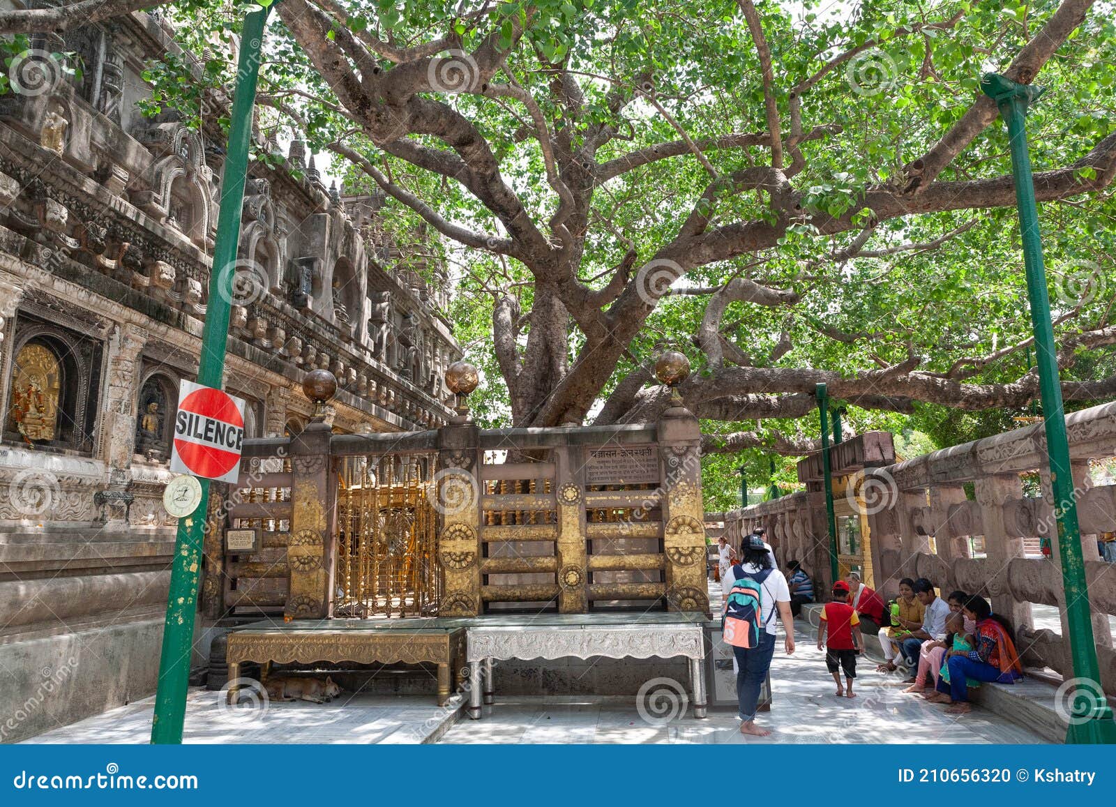 Bodhi Tree Tree of Buddha Enlightenment in the Yard of Mahabodhi Temple ...