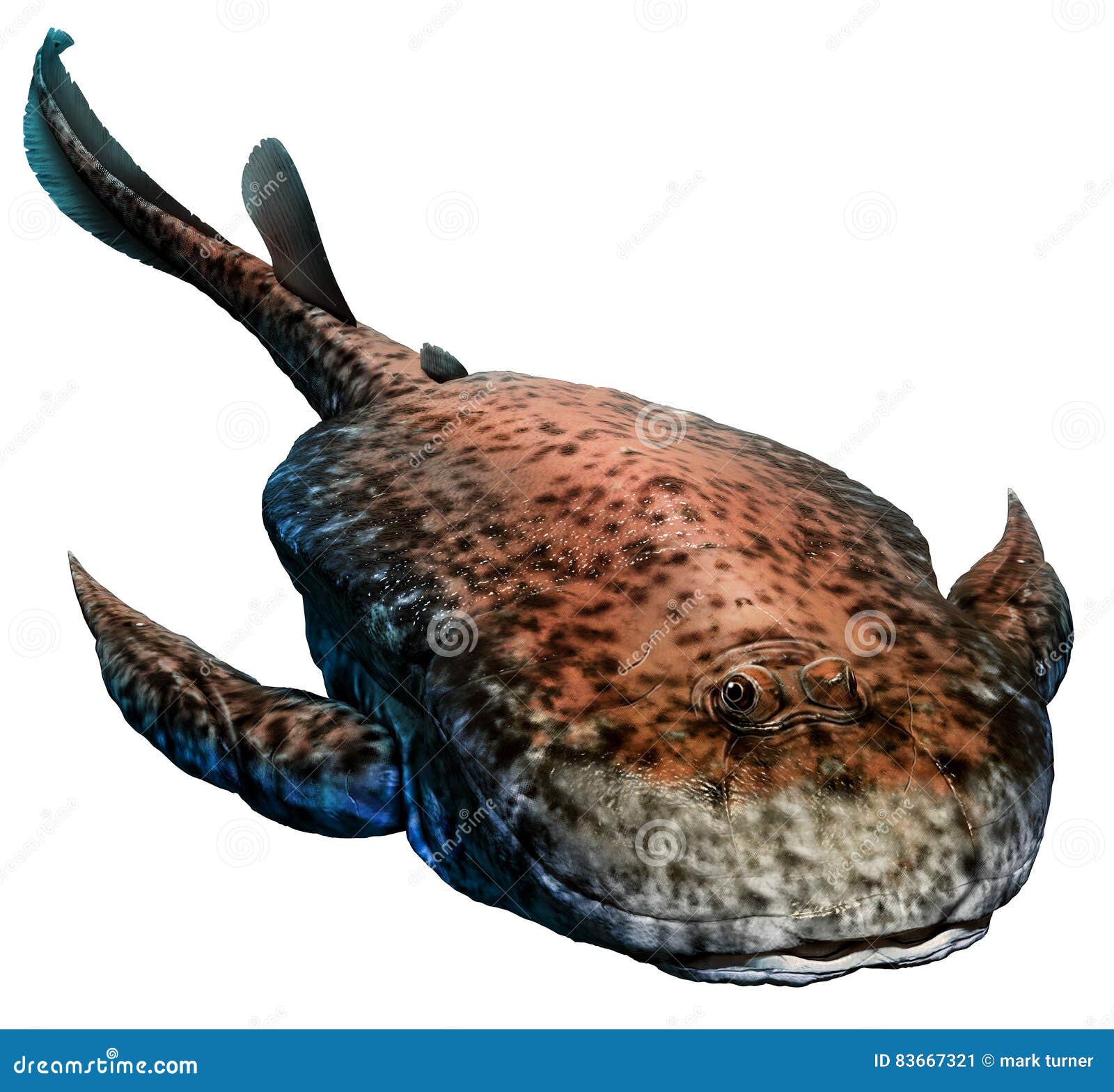 Bothriolepis stock illustration. Illustration of swimming - 83667321